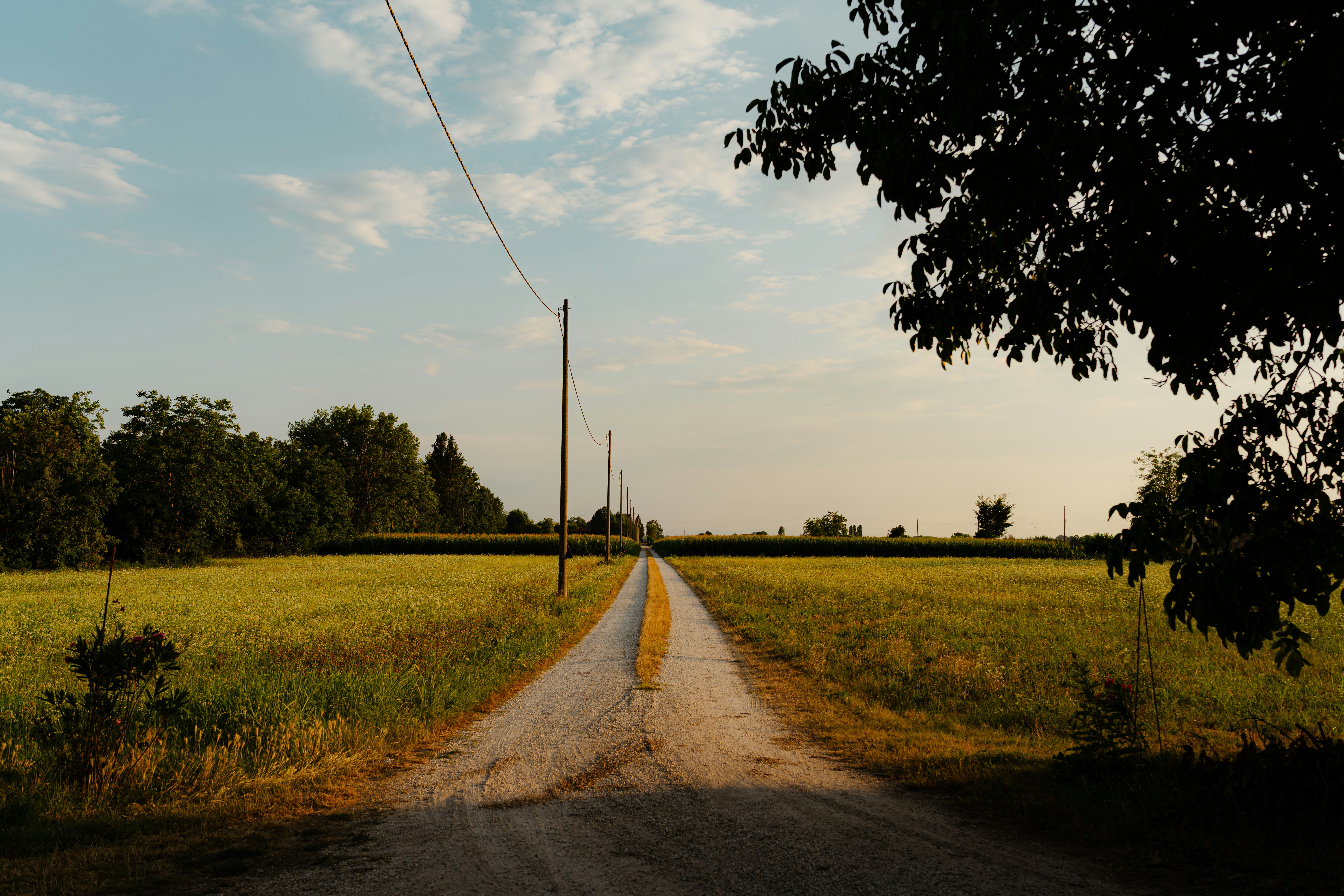 Dusty Rural Road Opens Toward the Horizon