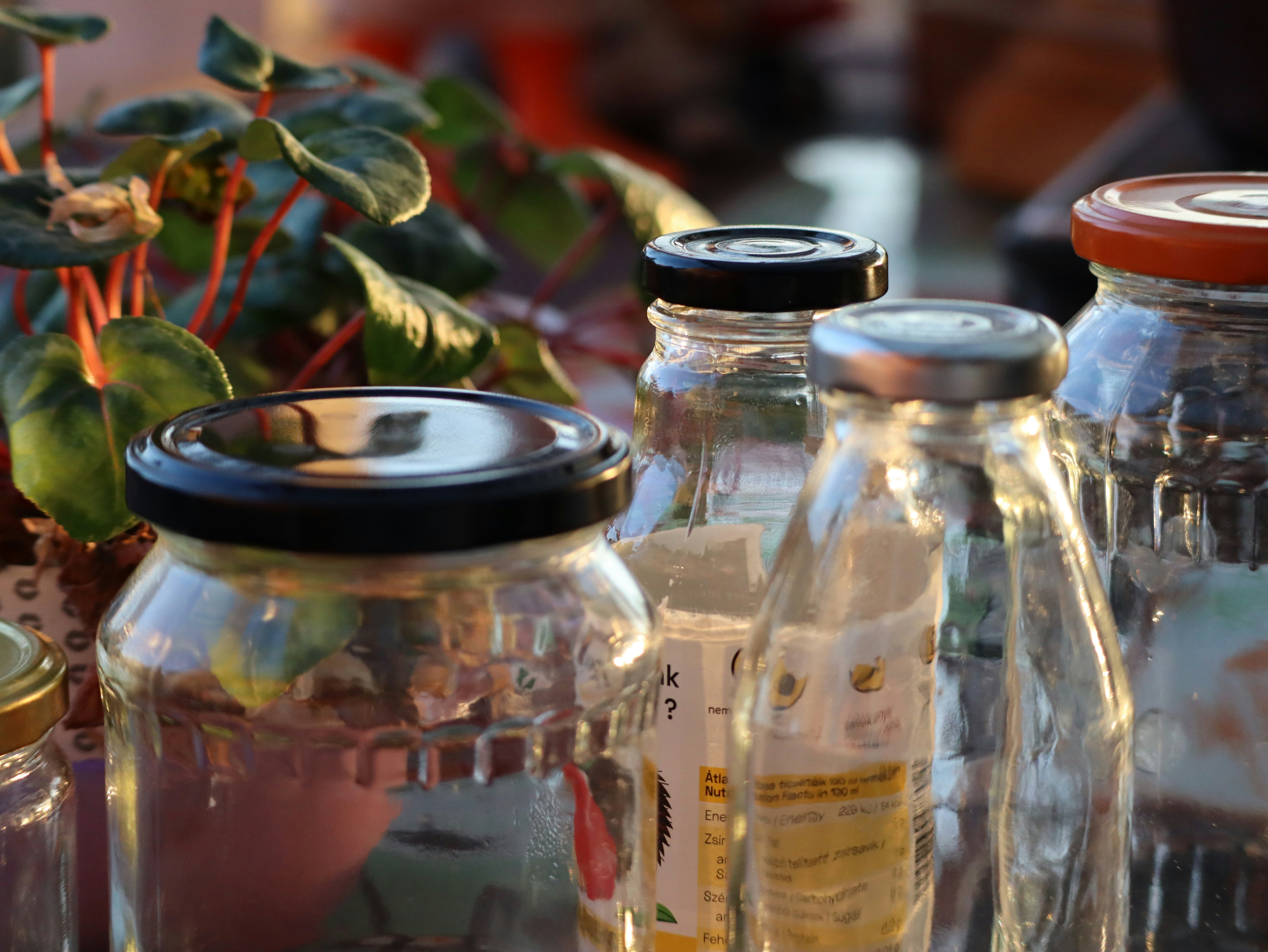 Glass Jars in Morning Light: Quiet assembly of Everyday Objects
