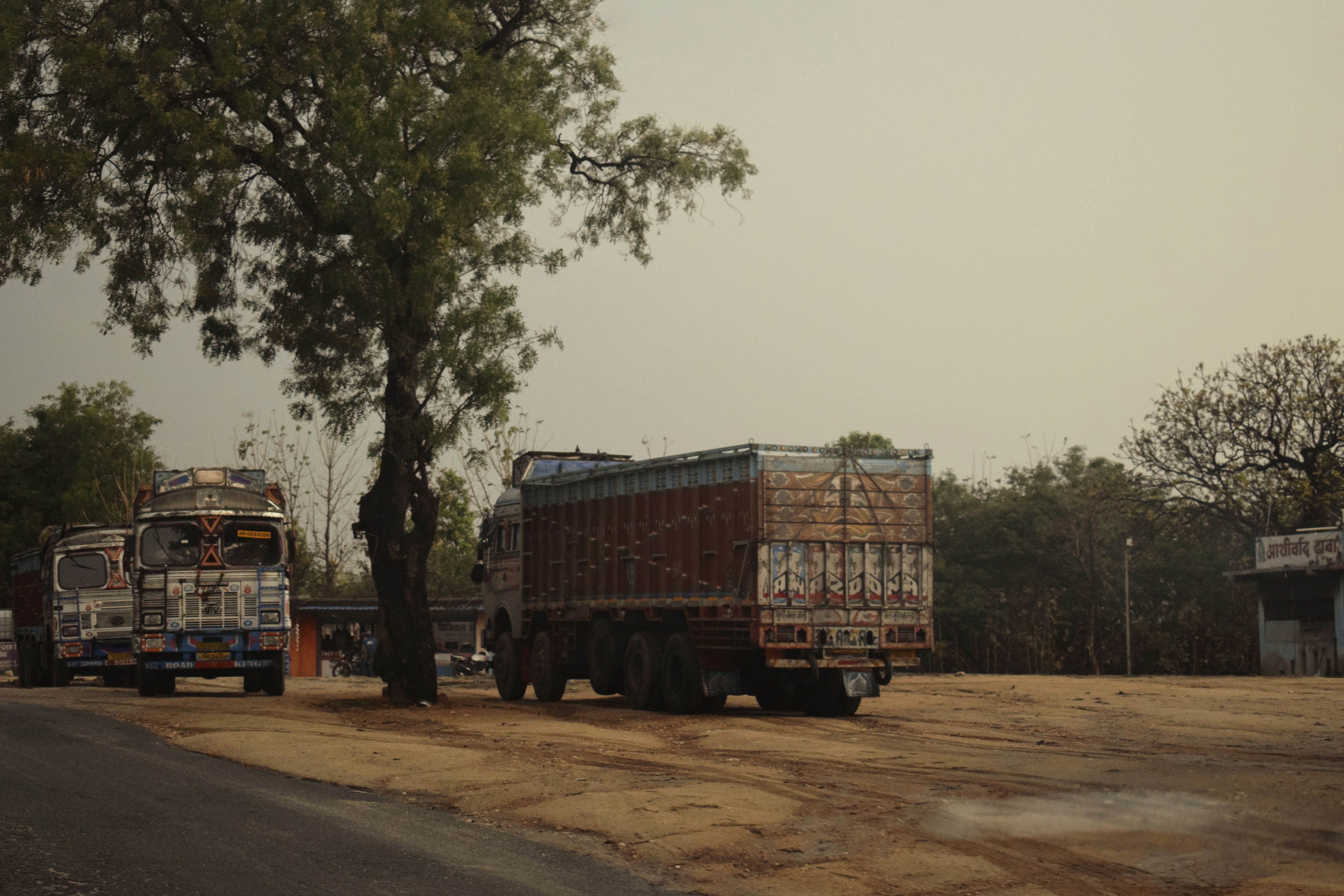 Dusty highway with parked trucks under a lone tree