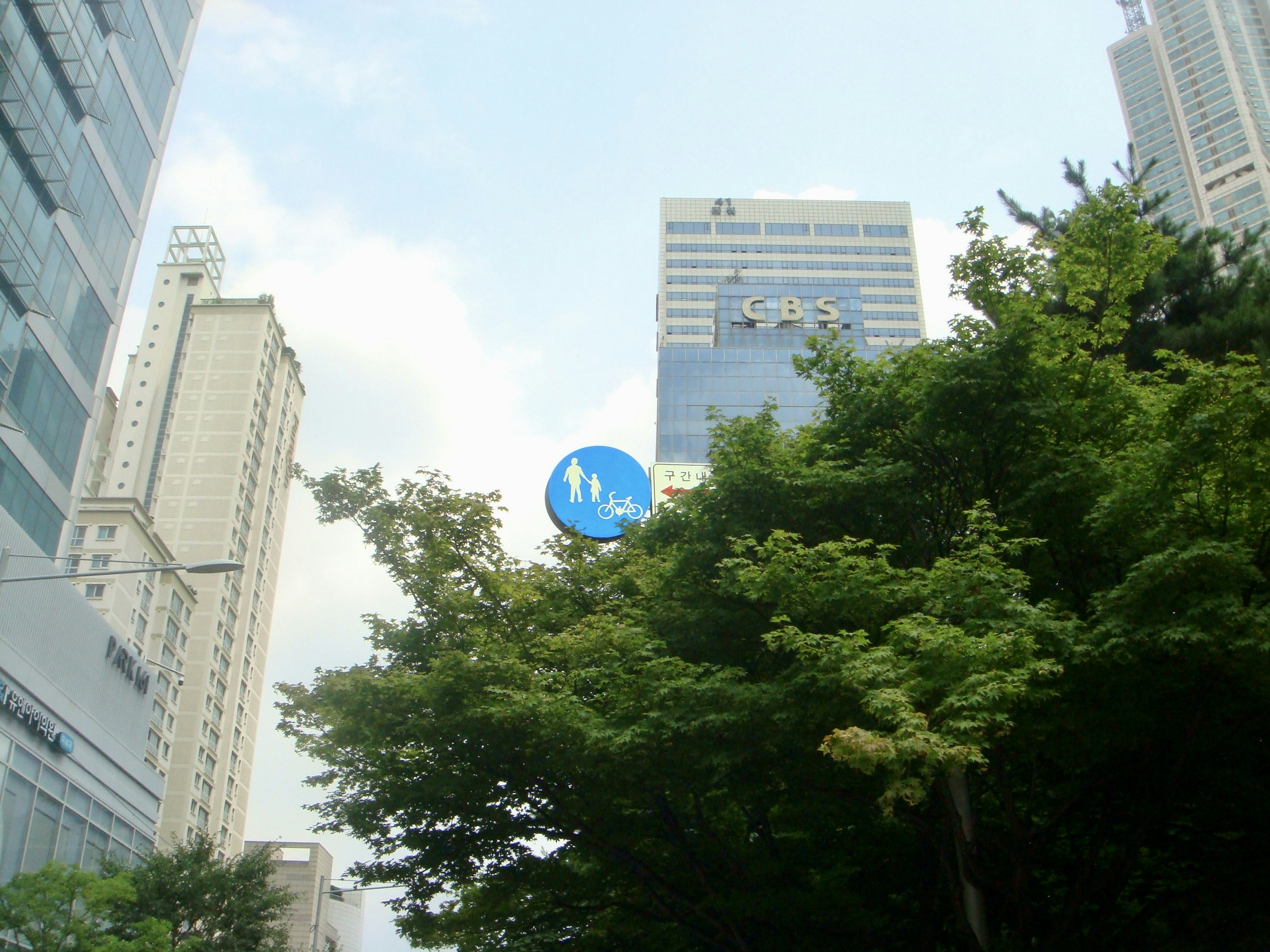 Cityscape with tall buildings peeking from behind a lush tree canopy and a blue circular sign in the foreground. The scene emphasizes contrast between urban architecture and greenery.
