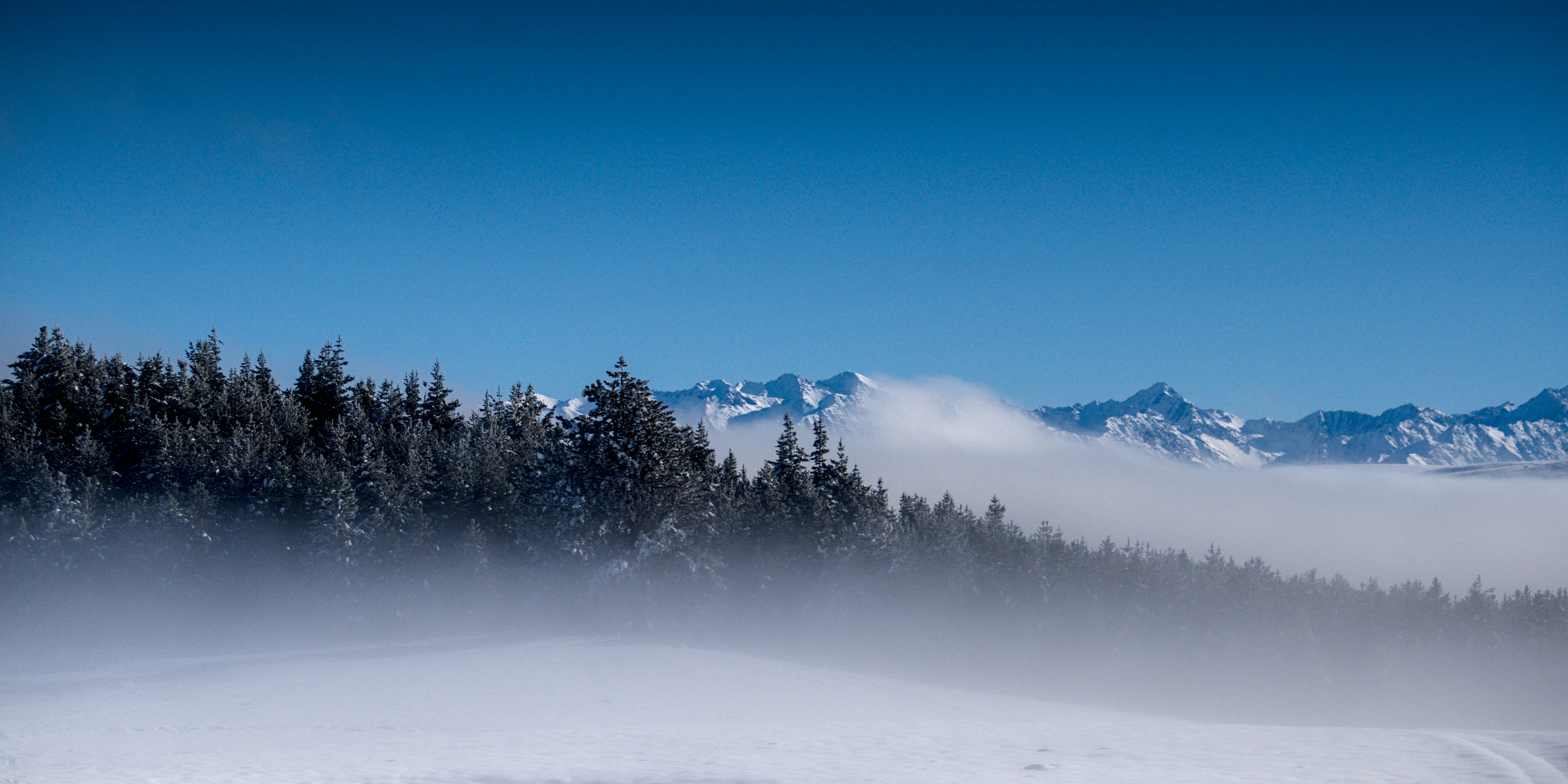 Alps peaking over snowy trees.