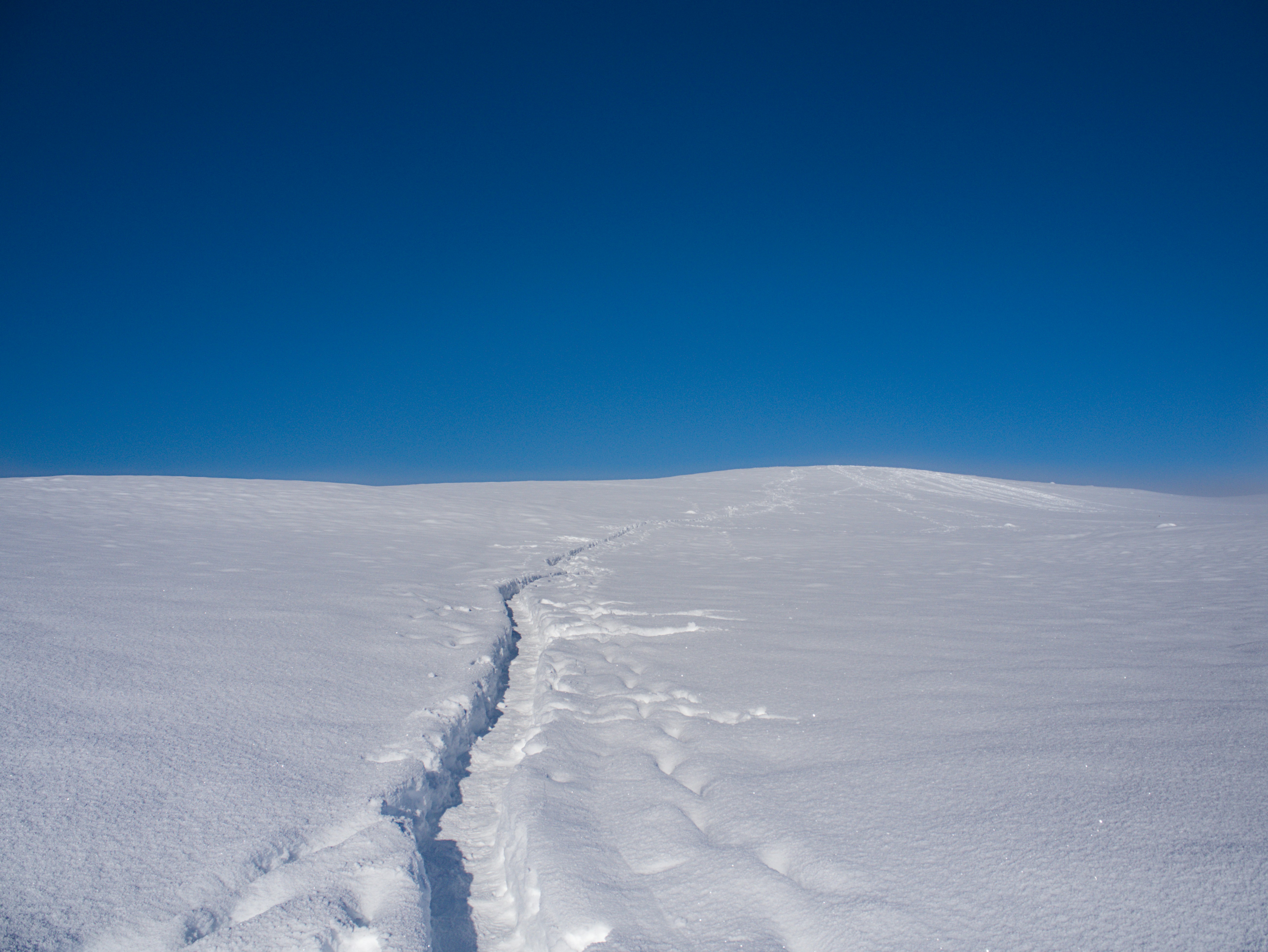 A Narrow Snow Trail Converging Toward a Snow-Crest Horizon