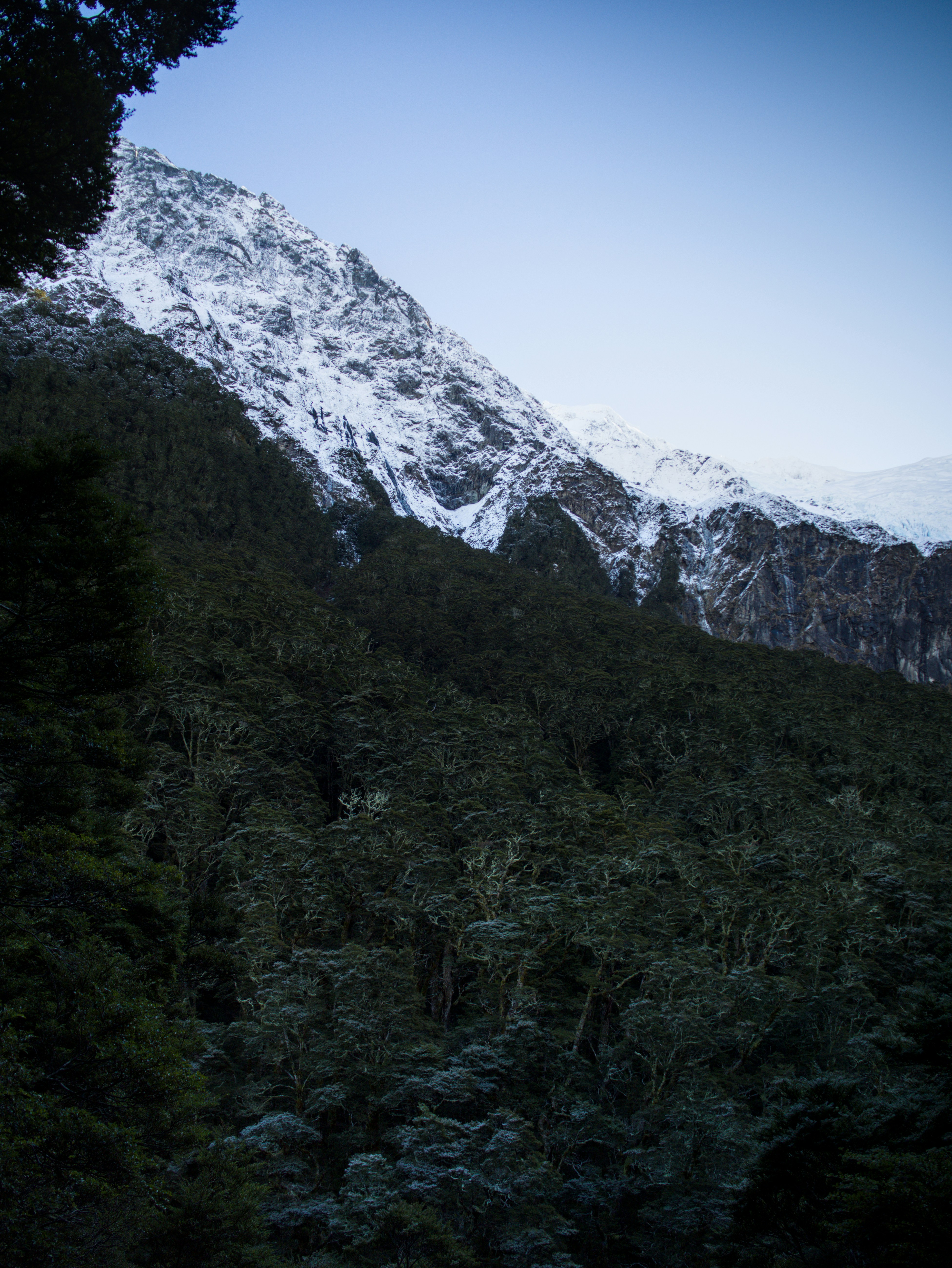 Snow-Capped Ridge Reaching Toward a Clear Sky