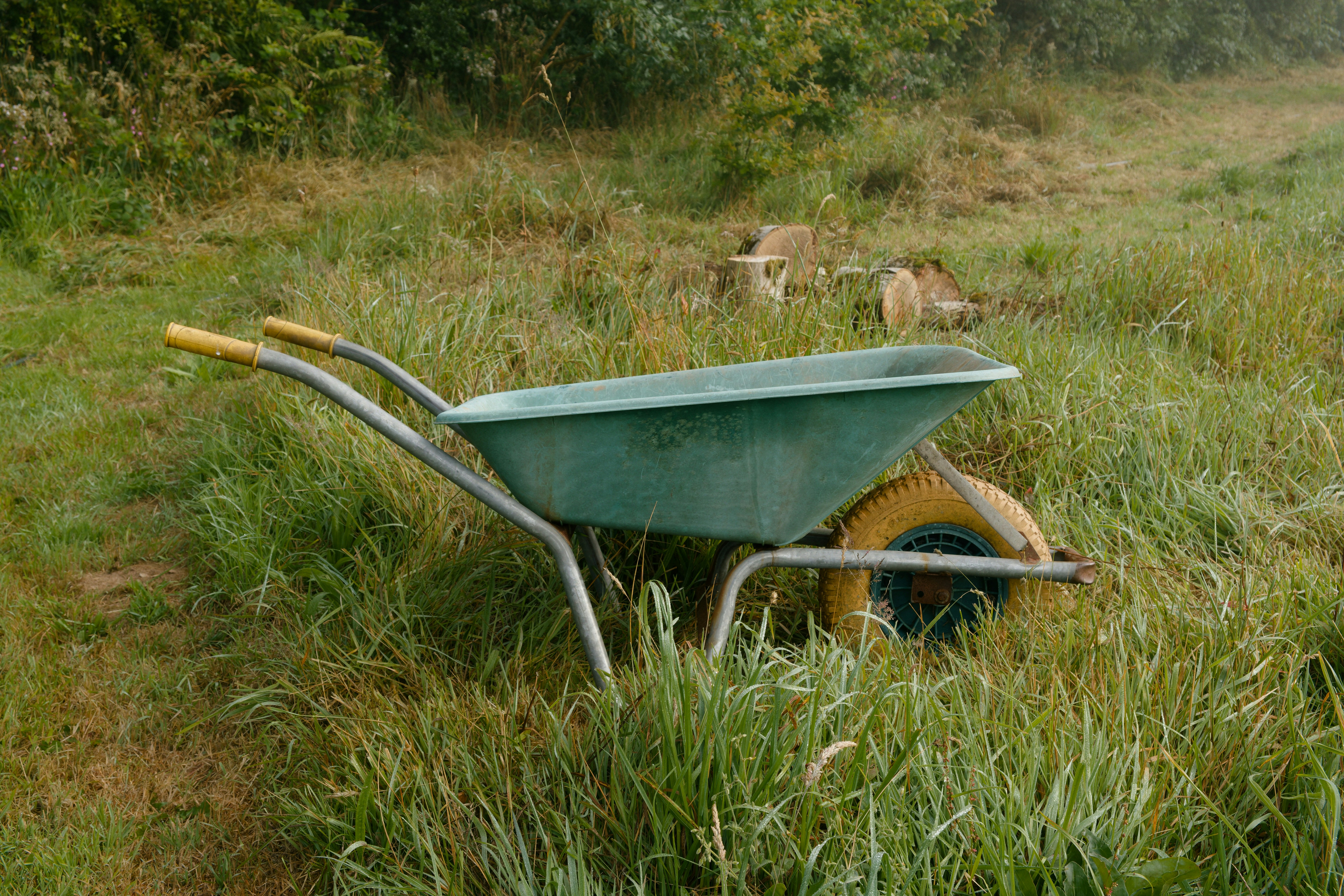 Overgrown Workhorse: A Weathered Wheelbarrow Resting in Wild Grass