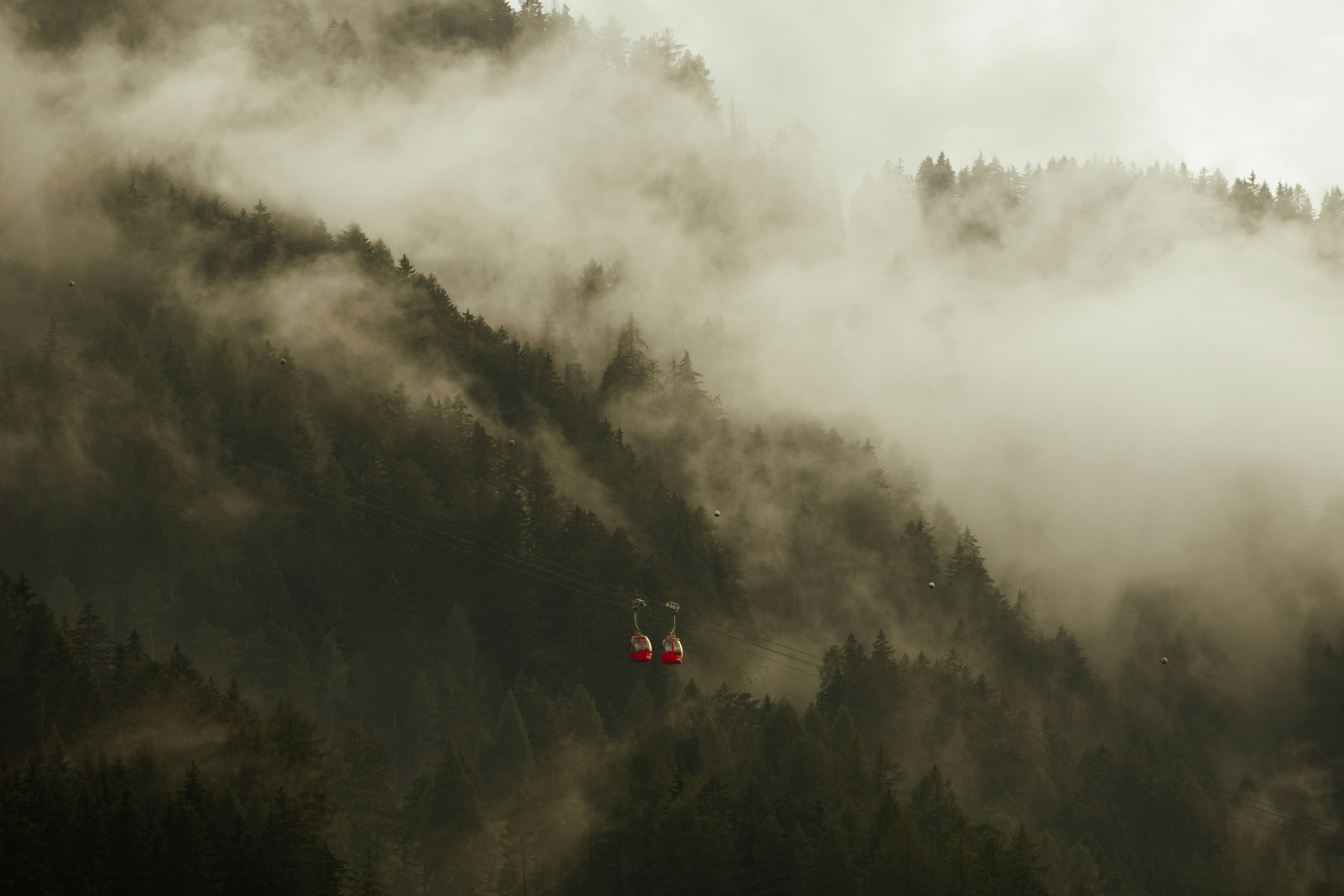 Two red cable cars glide through mist over a forested mountainside, conveying a sense of ascent and calm in muted tones. The scene emphasizes scale and atmospheric depth.