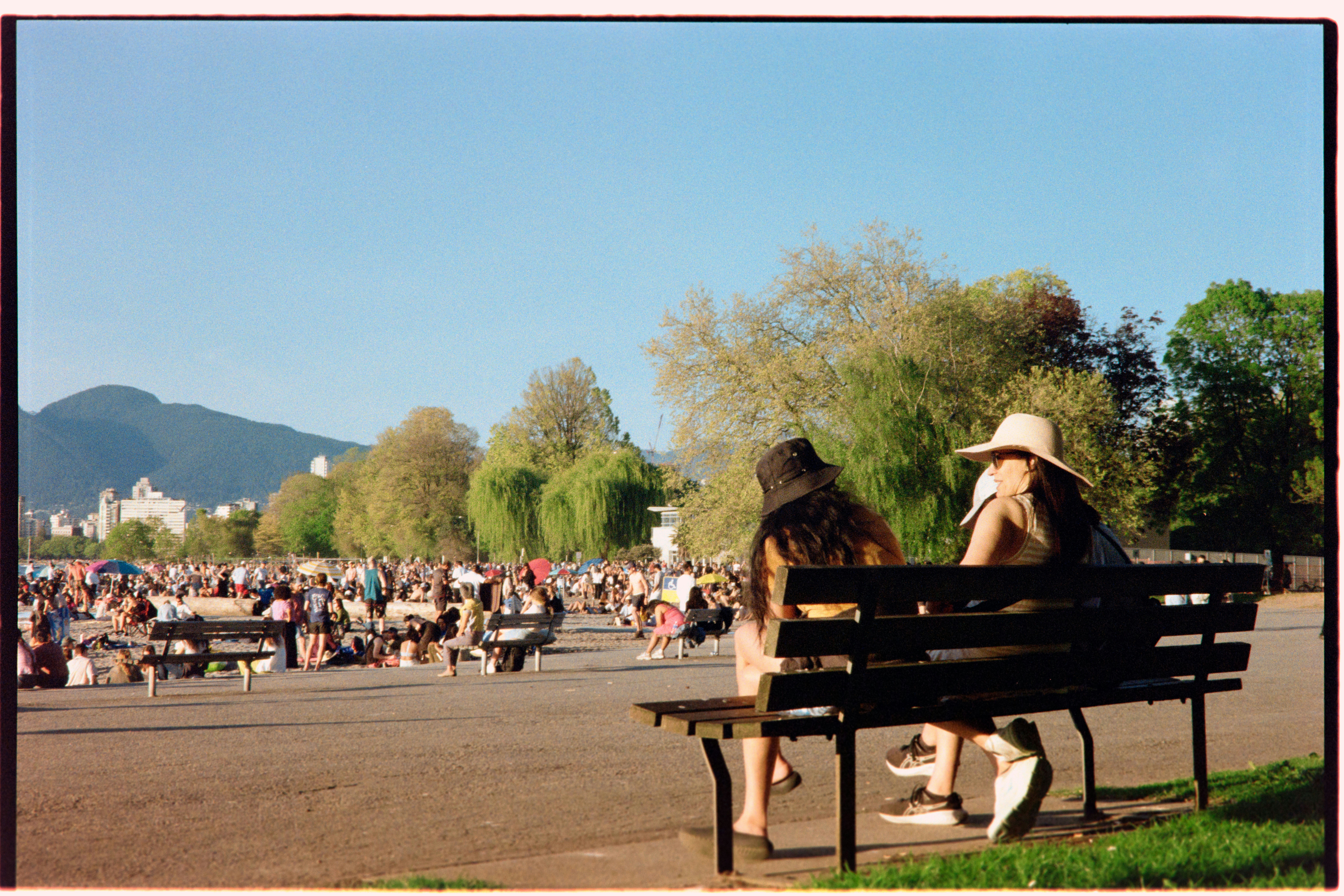 Sunlit park scene with a bench in foreground and a crowd enjoying a sunny day; a distant skyline and trees frame the composition.
