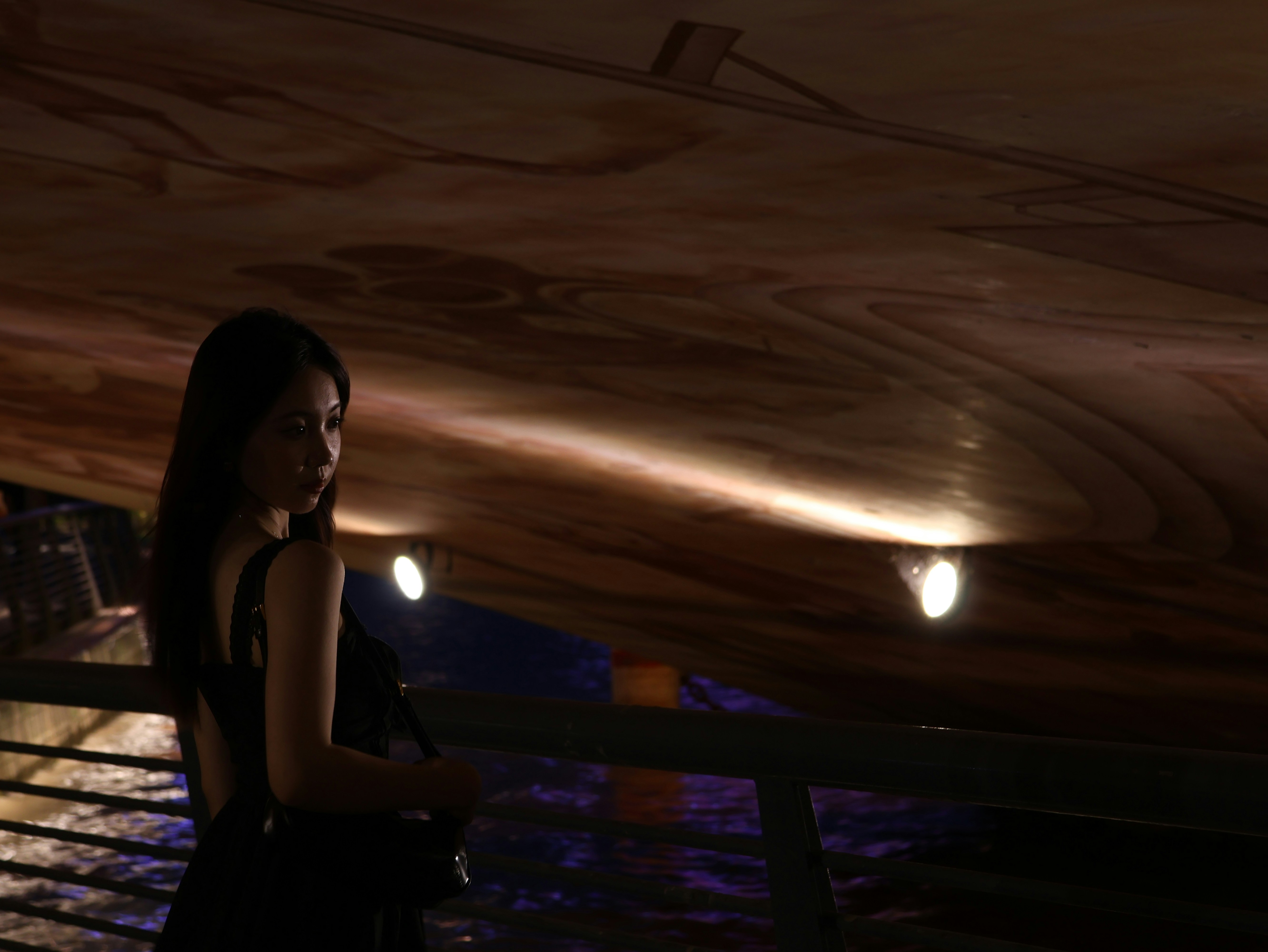 Nightwalk Under Velvet Ceiling