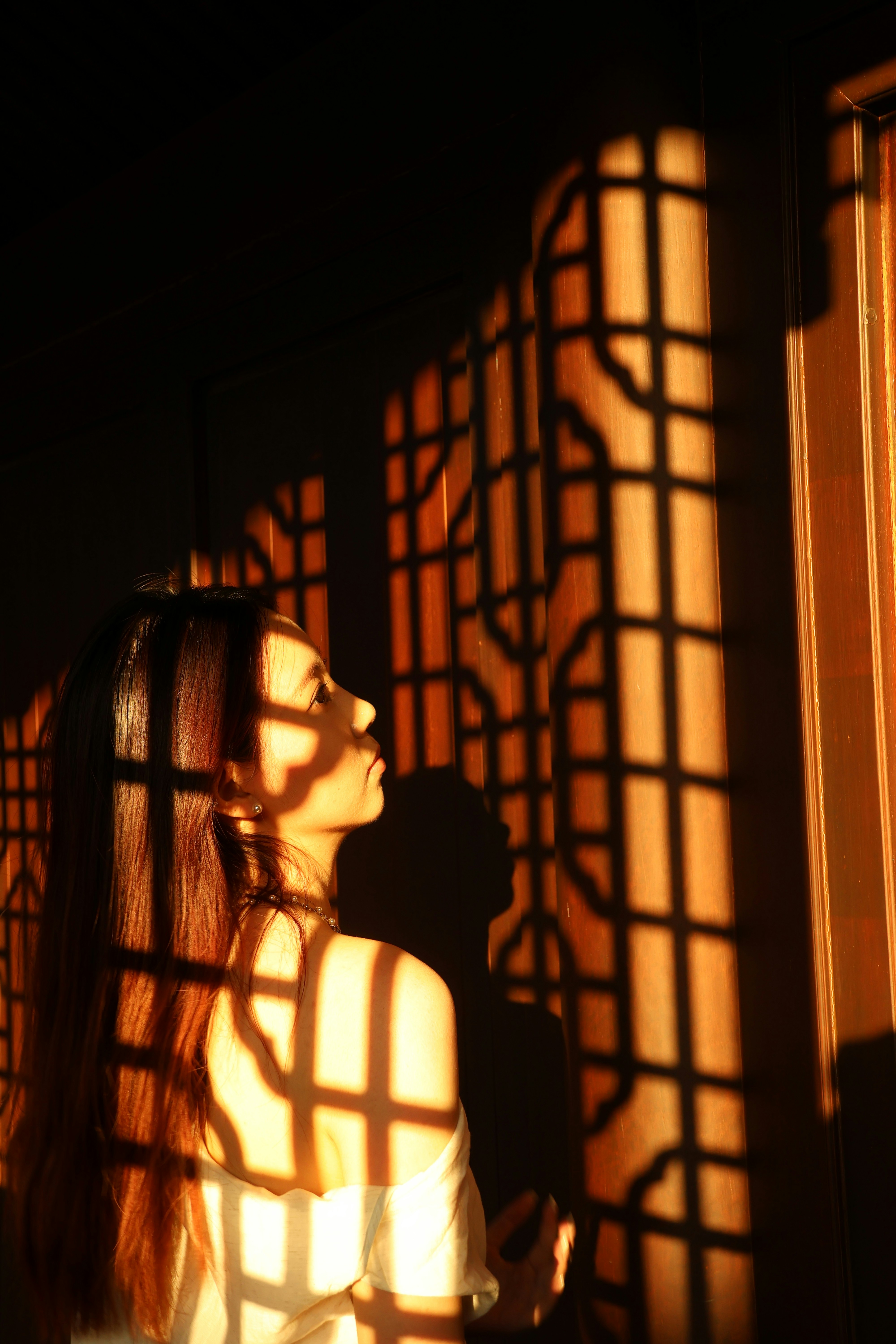 Shadowed Grille: Portrait in Warm Geometry