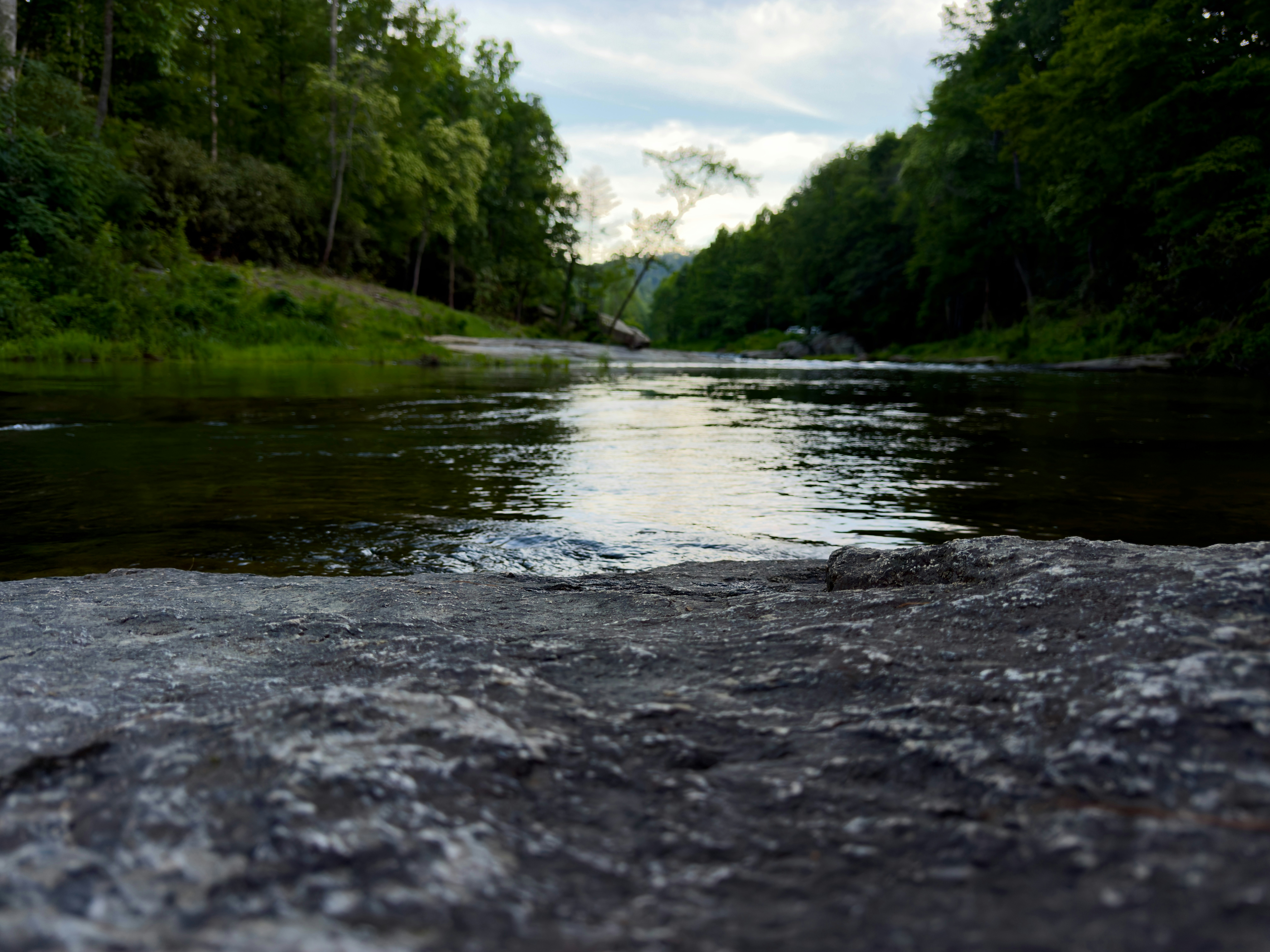 Misty river flows under a forested canopy with a rocky foreground and smooth water surface. A tranquil landscape emphasizing depth from the near stones to the distant bend.