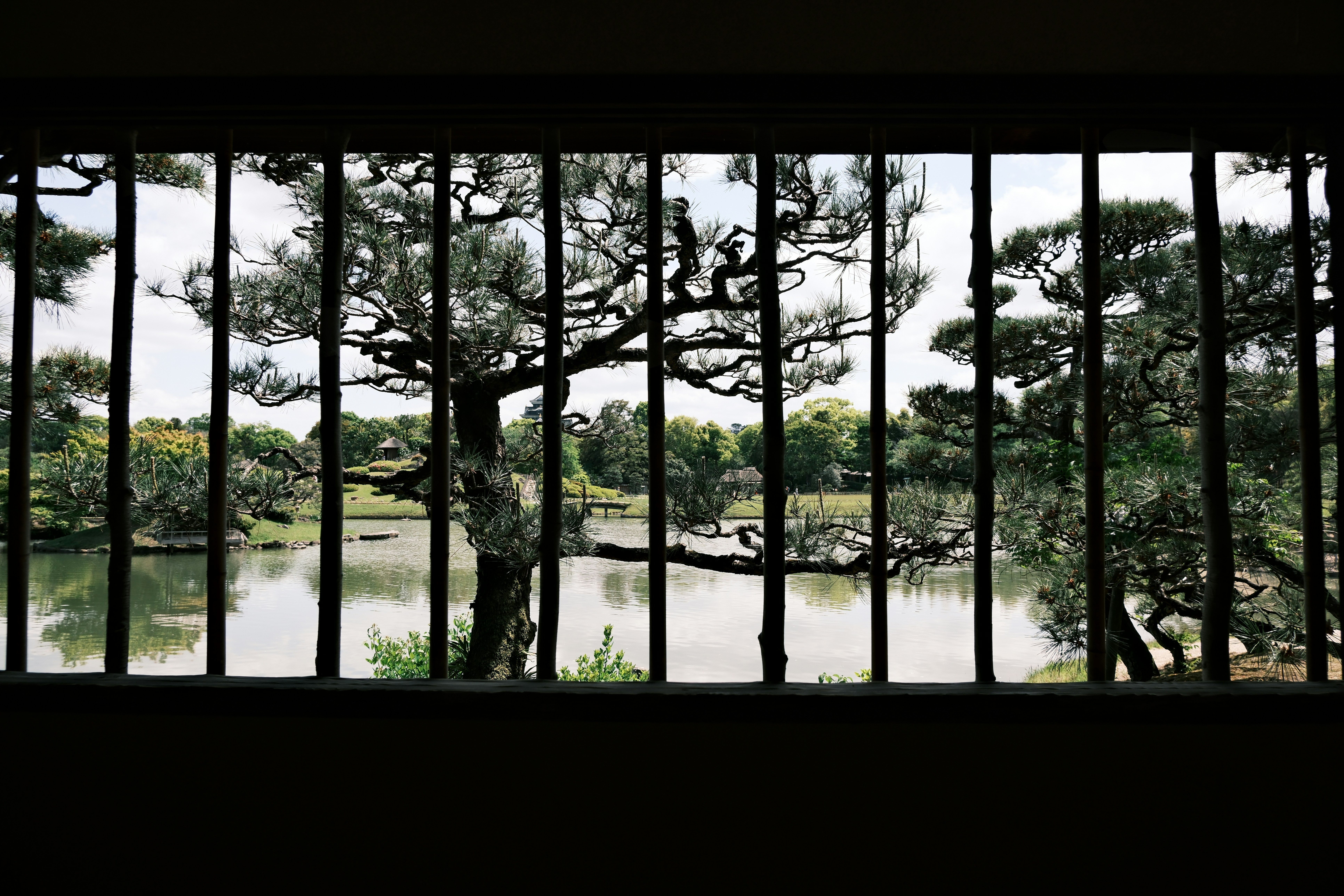 Tranquil Garden Vista Framed by Slatted Shadow