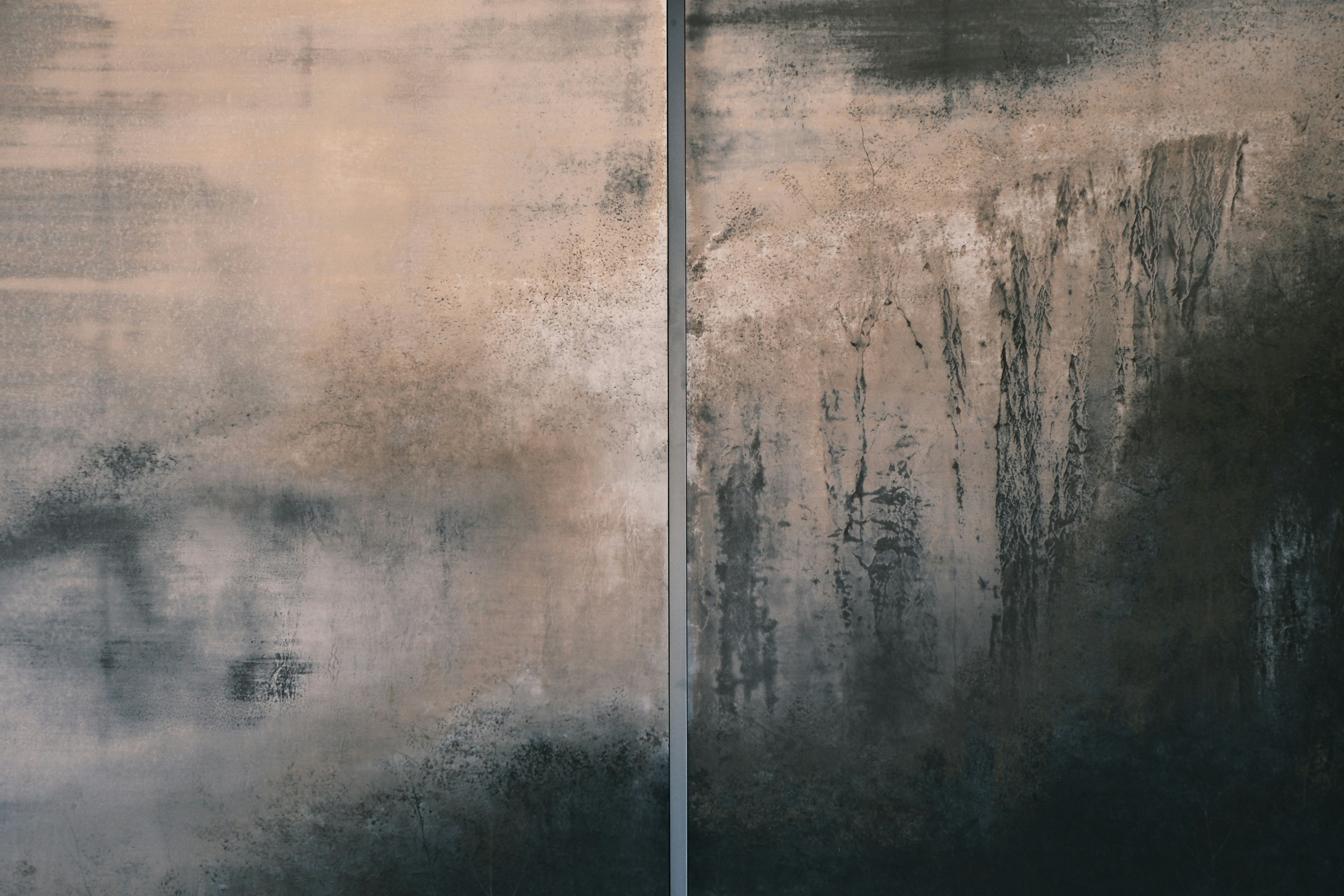 Split of Silence: A Weathered Panel Divider