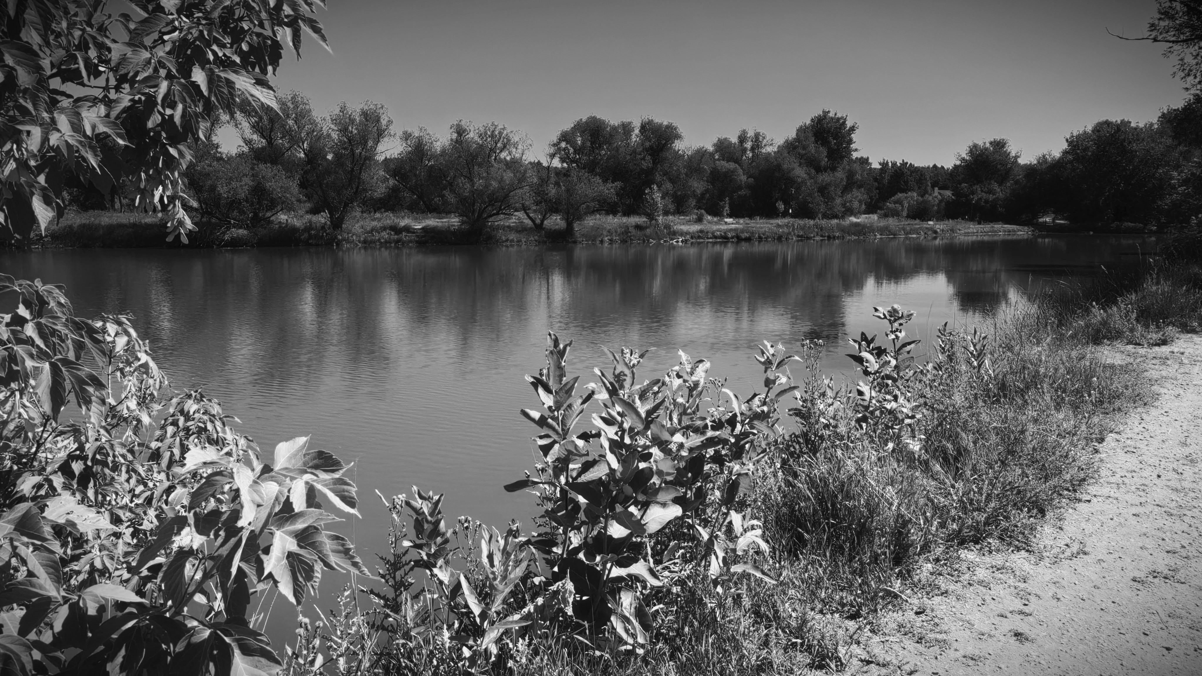 Shoreline Symphony: Quiet Riverbank in Monochrome