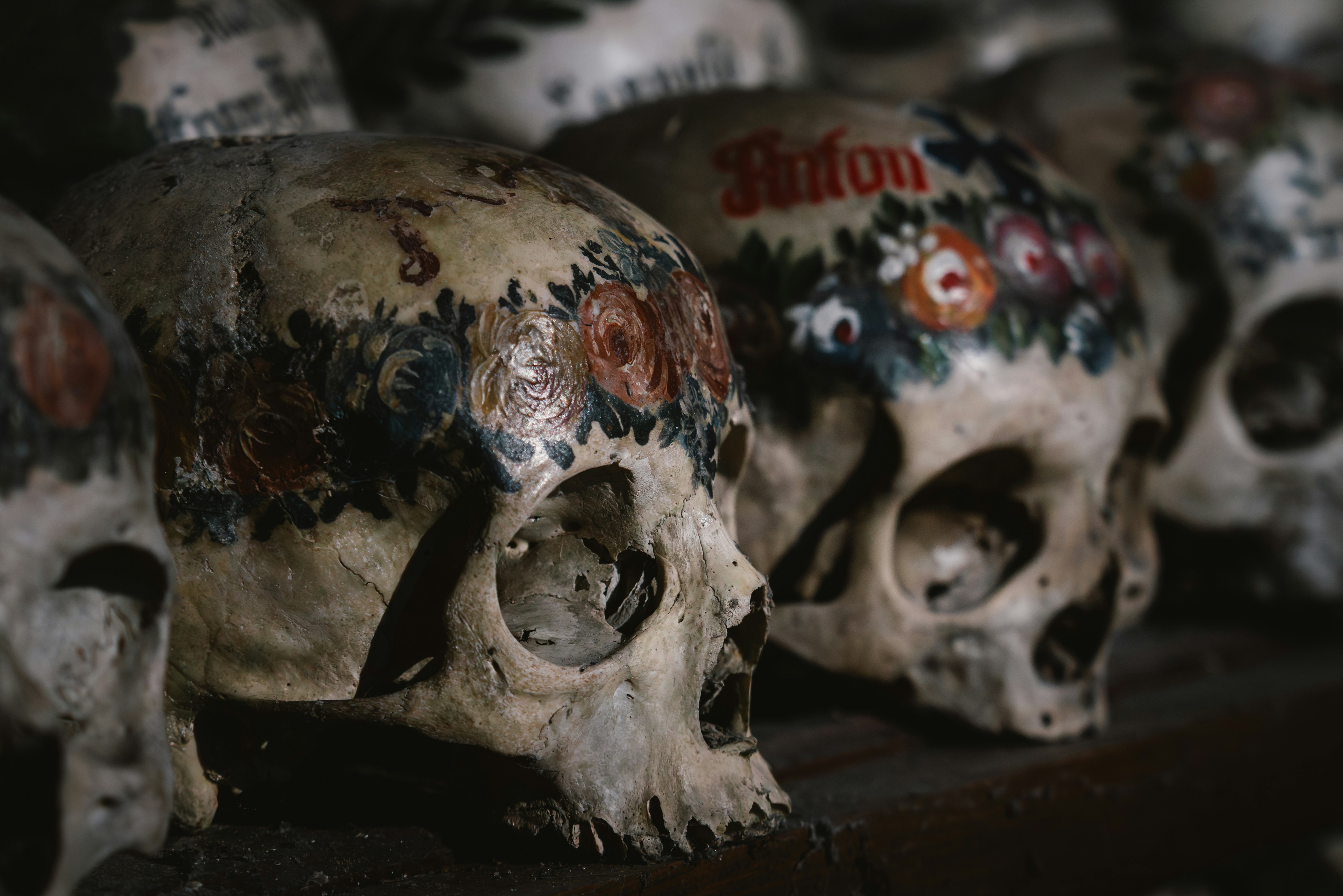 Floral-decorated skulls in quiet morgue-like display
