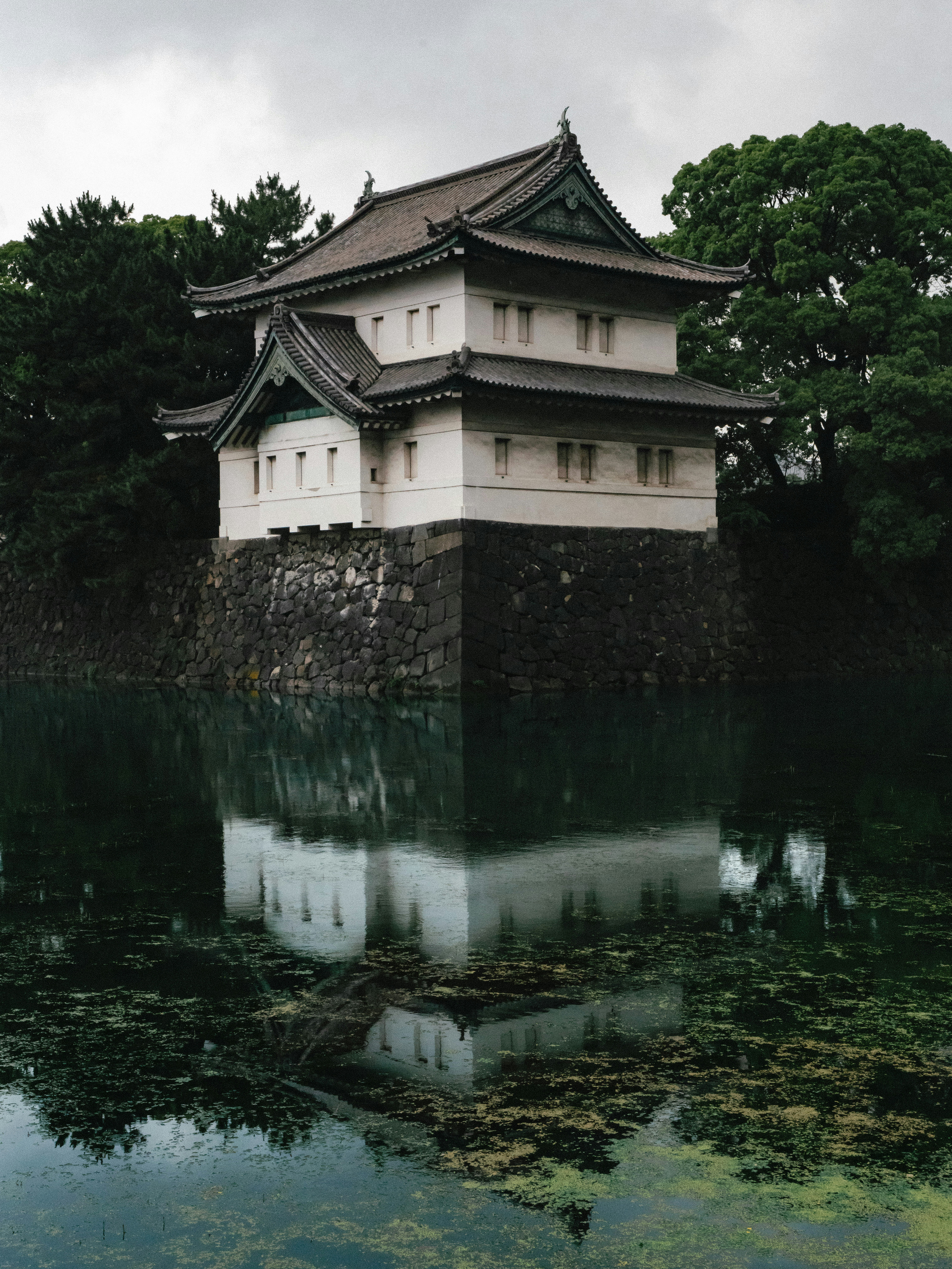 Castle on the Reflective Lake: A Quiet Moment in Stone and Water