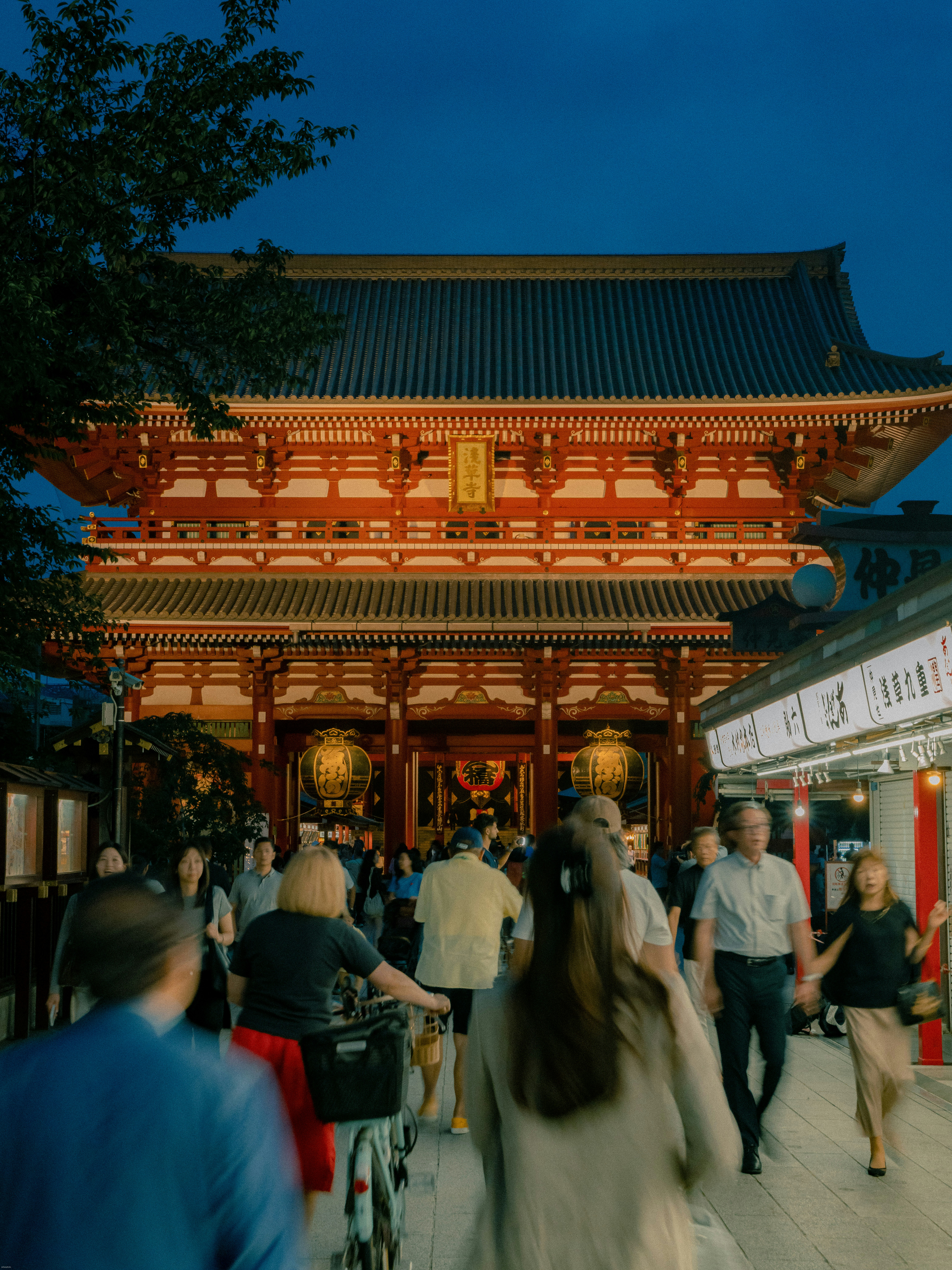 Evening Throng at the Gate: A Temple Welcome