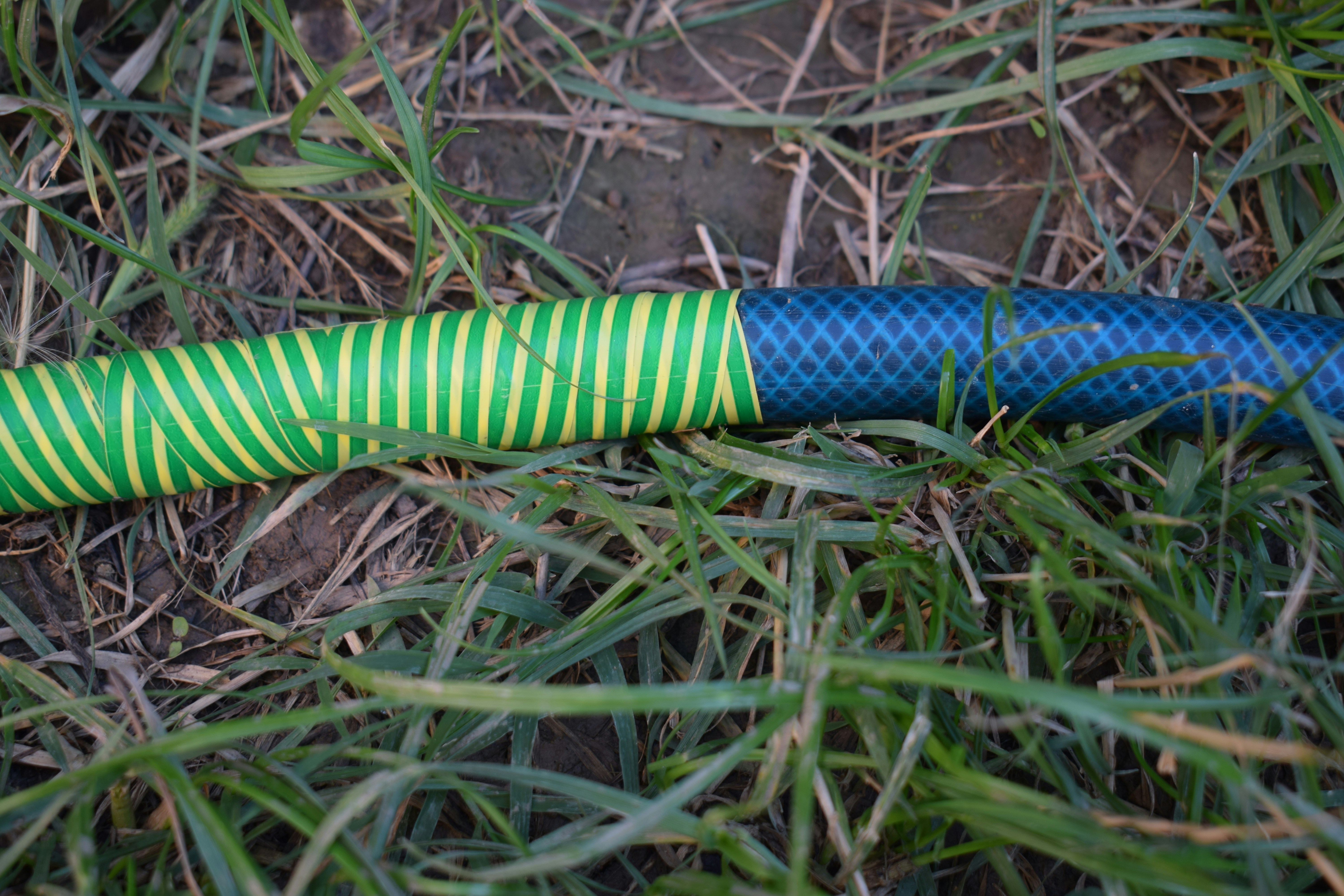 Coiled Court: A Coral-Cable Rainbow Along the Ground