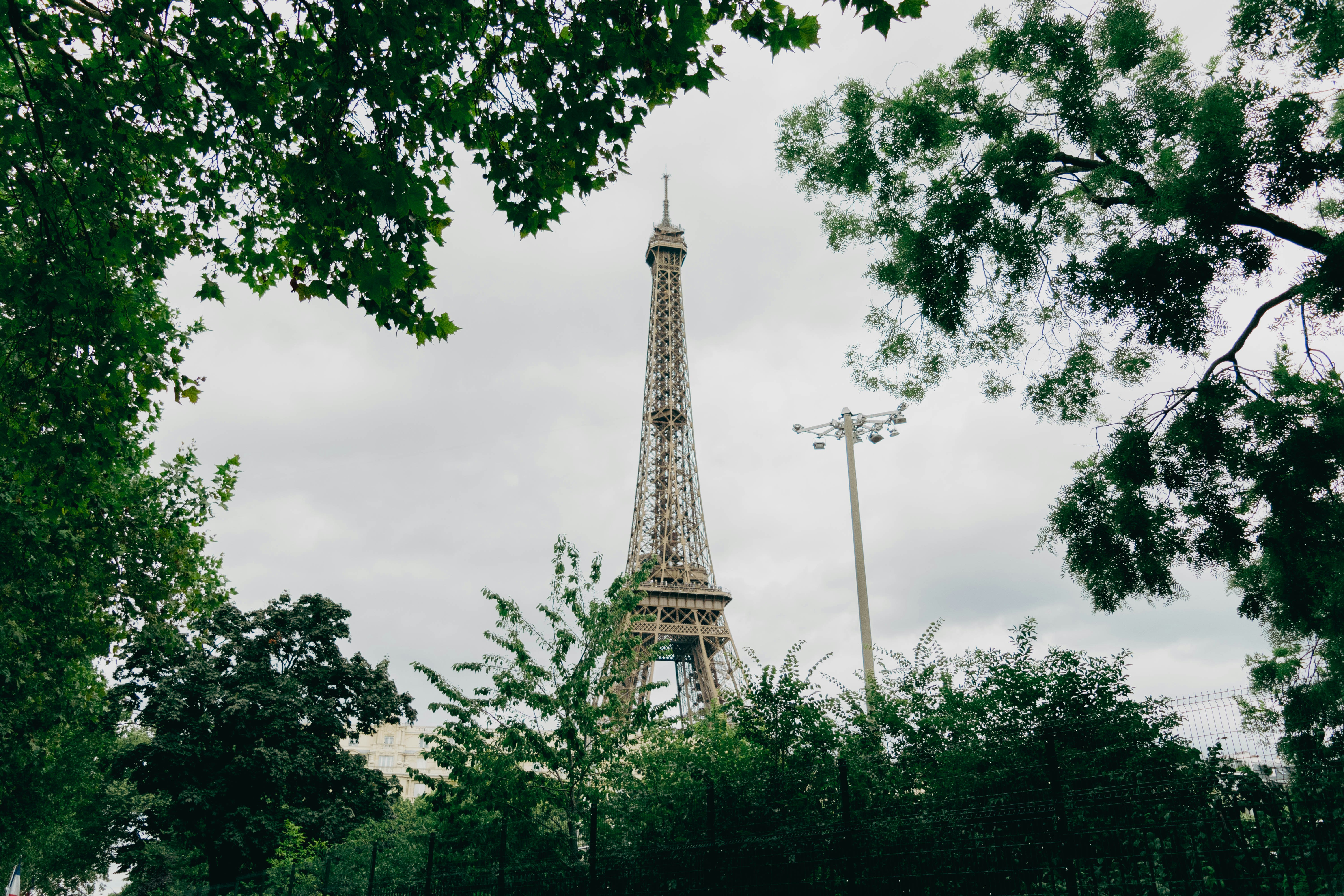 Parisian Tower in a Green Frame
