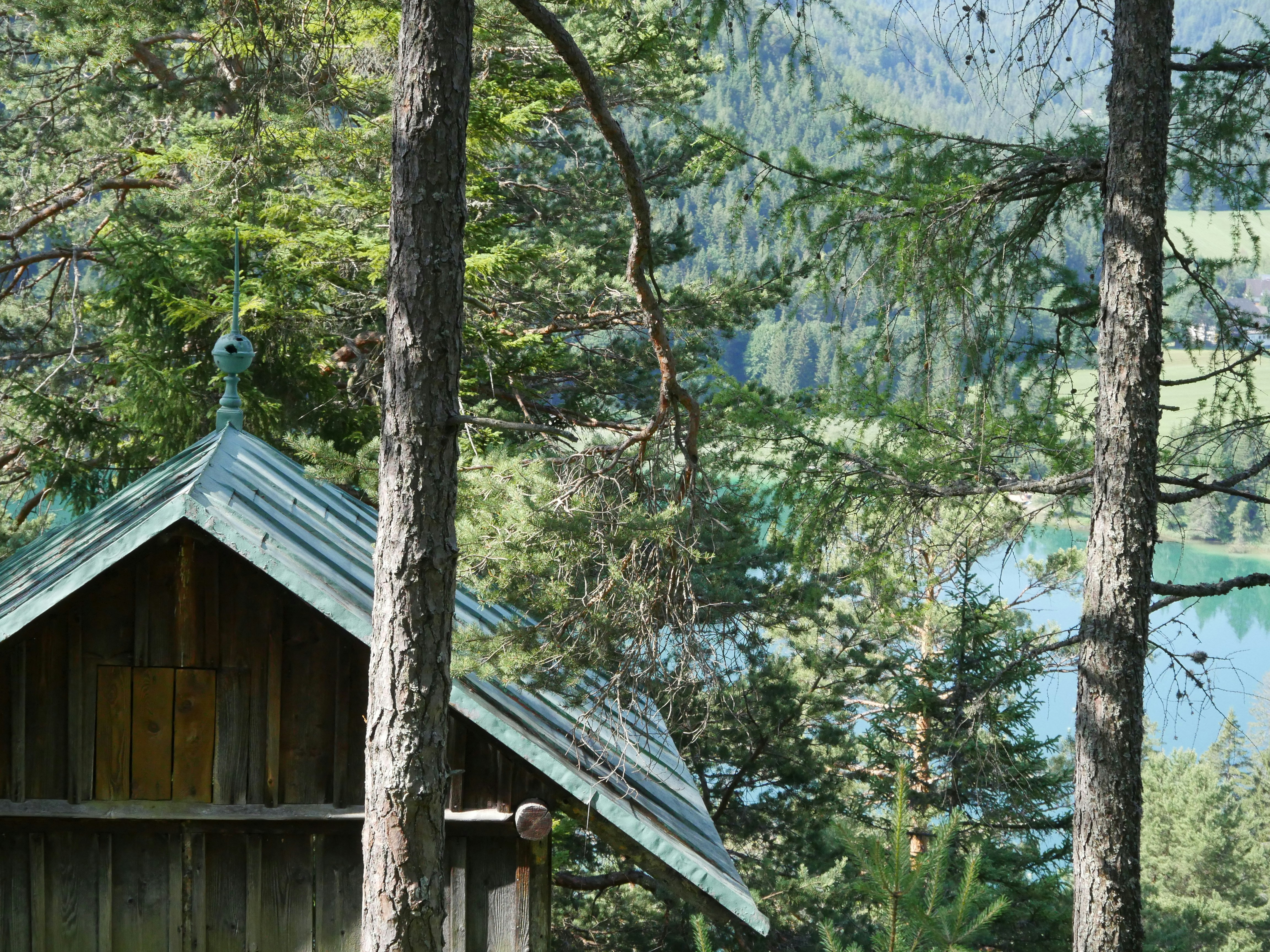 Cozy Alpine Cabin Nestled Among Pines