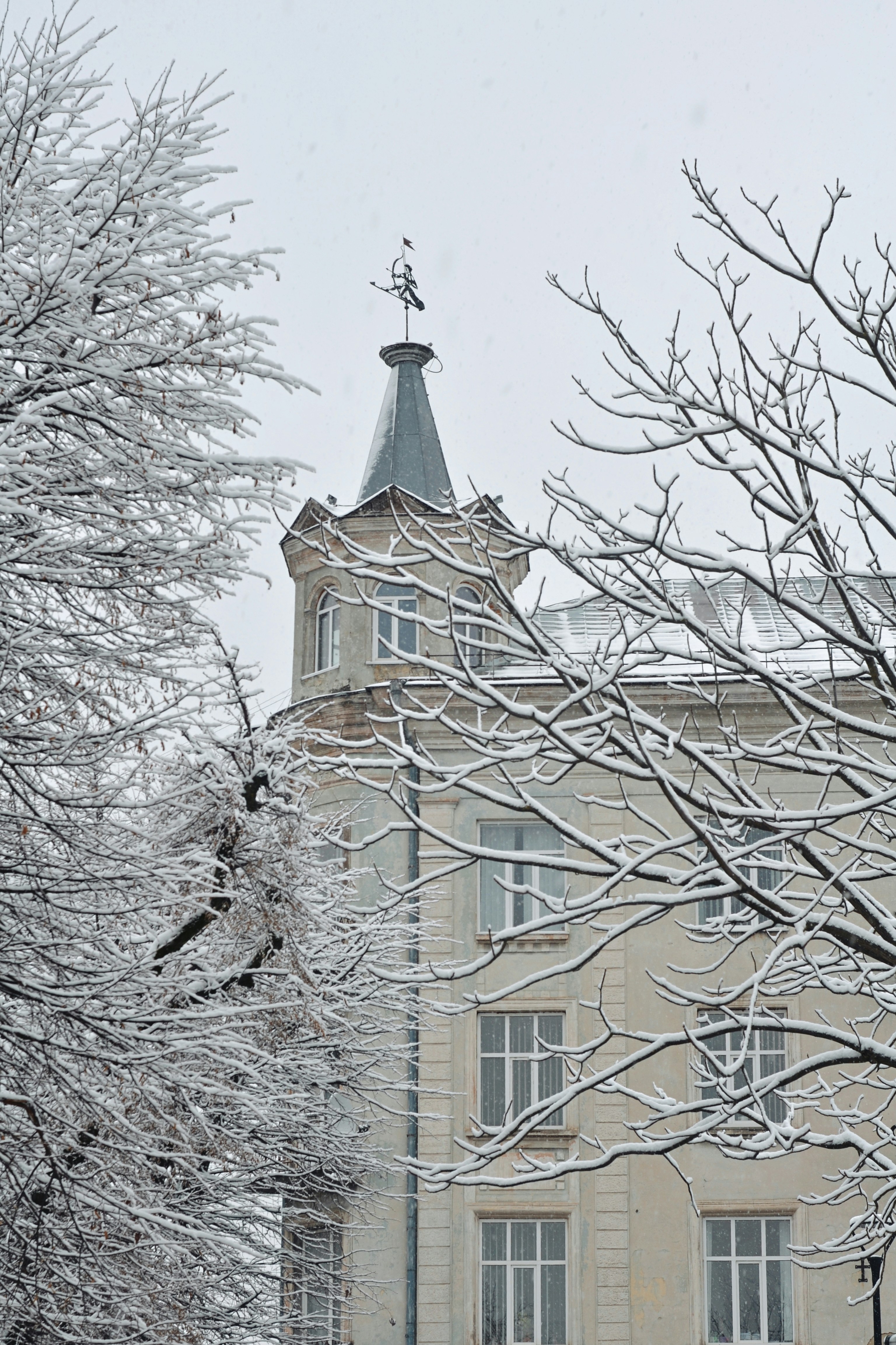 Snow-Kissed Turret: A Quiet Winter Facade Peeking Through Frosted Branches