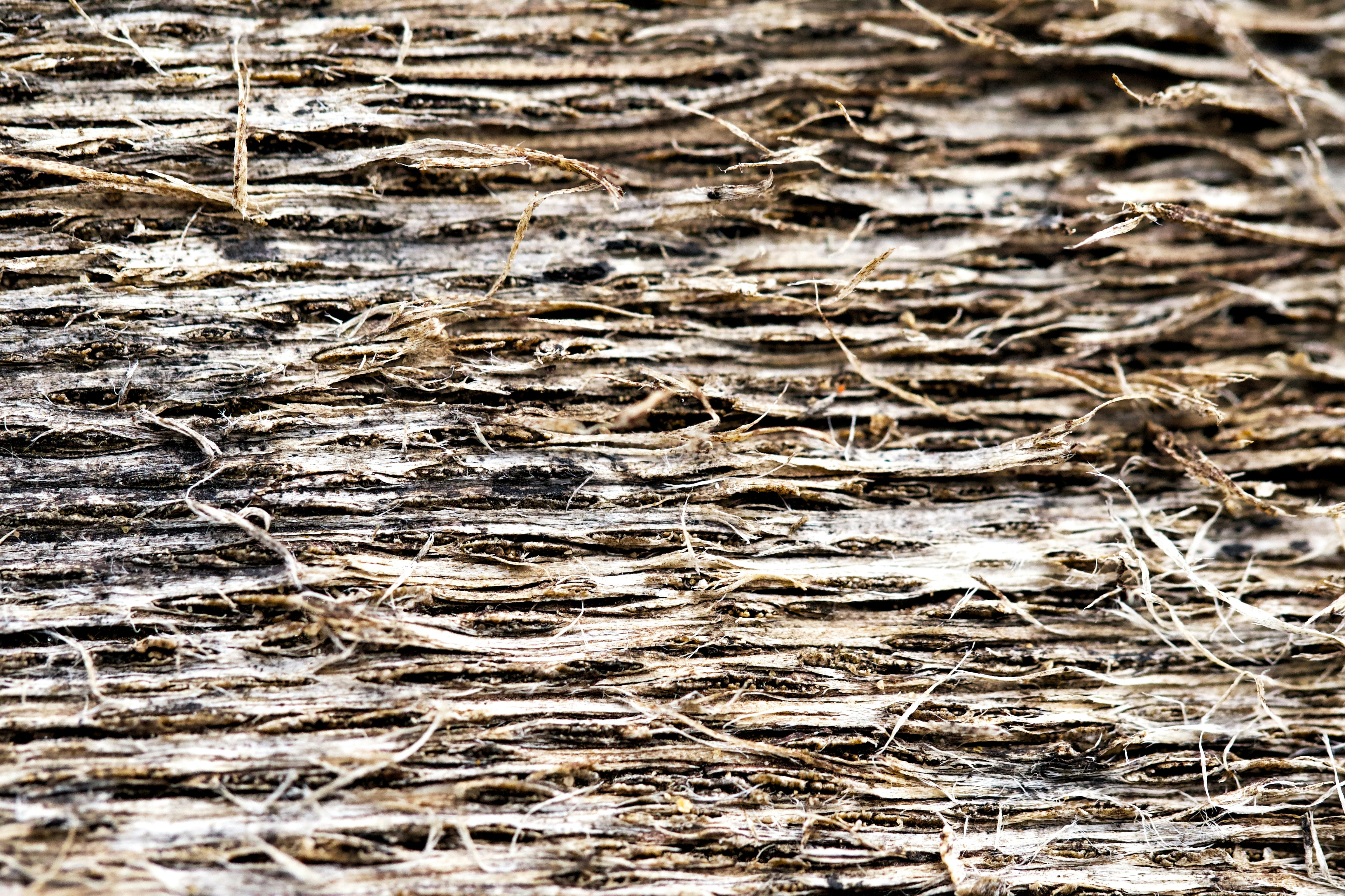 Interwoven Grain: Close-up of Weathered Fibers