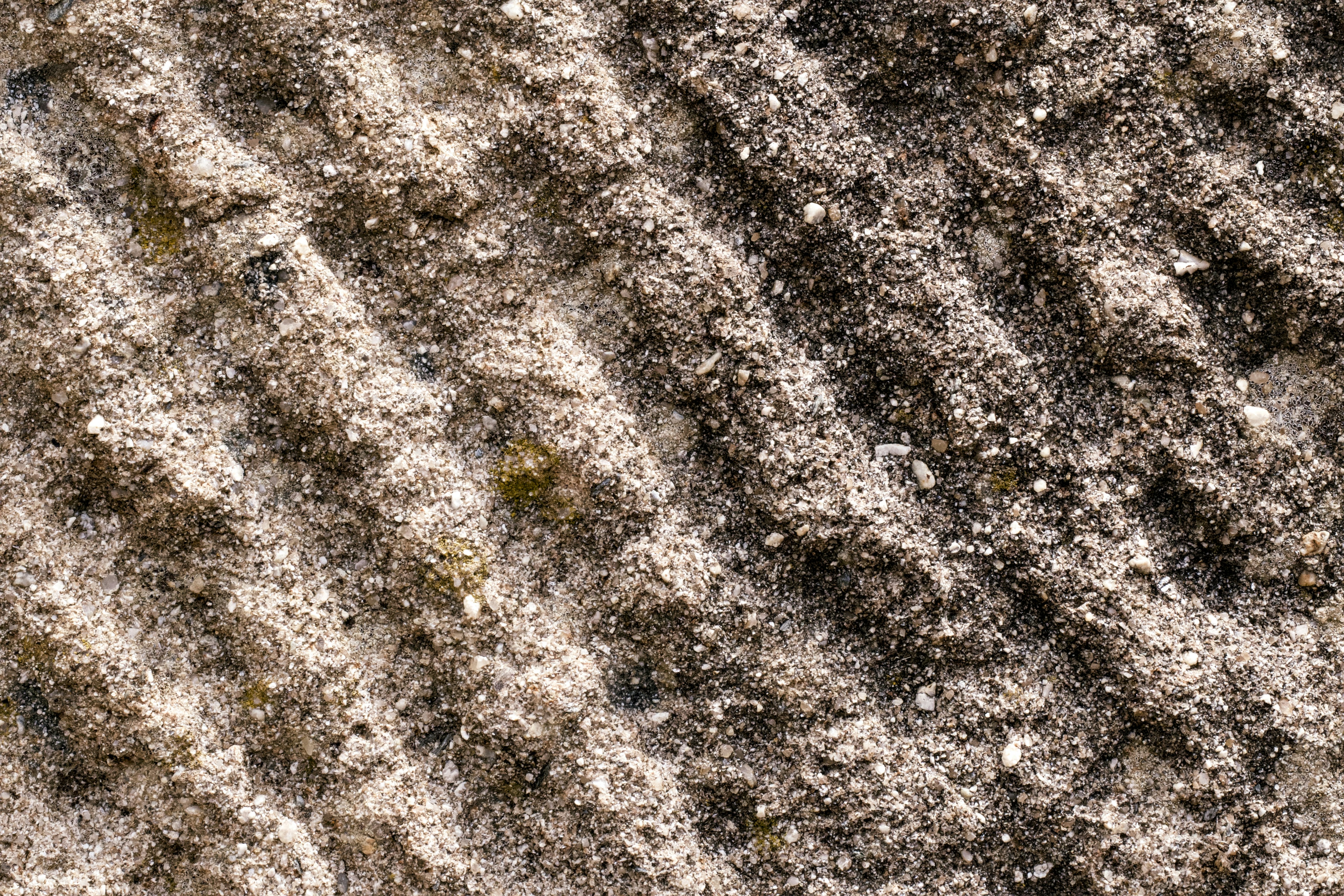 Ridge Patterns in Wet Sand Under Soft Light
