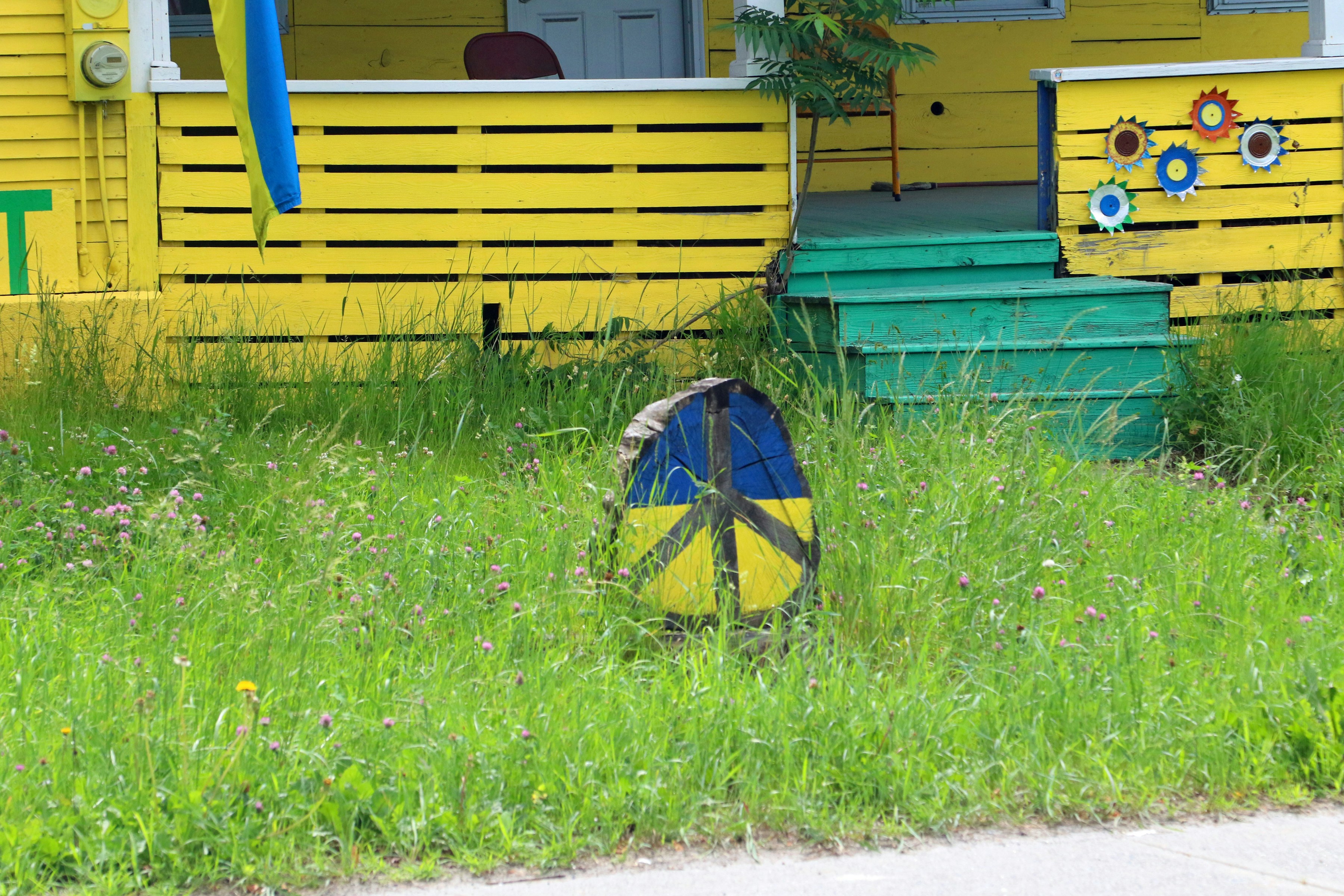 Sunlit Slip of Color: A Flagged Wheel Reclaims the Grass