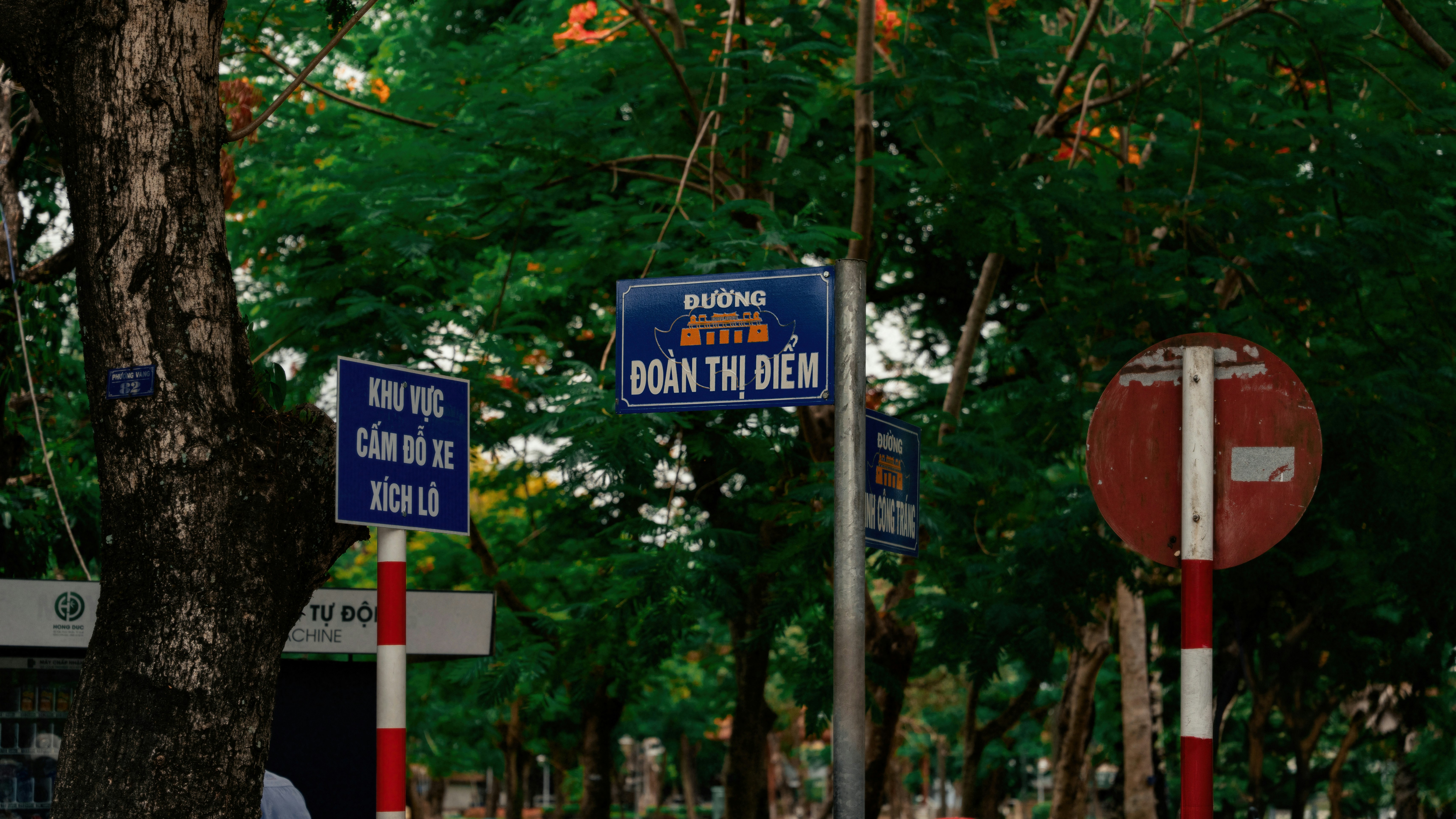Signs of a Quiet City Street in the Shade