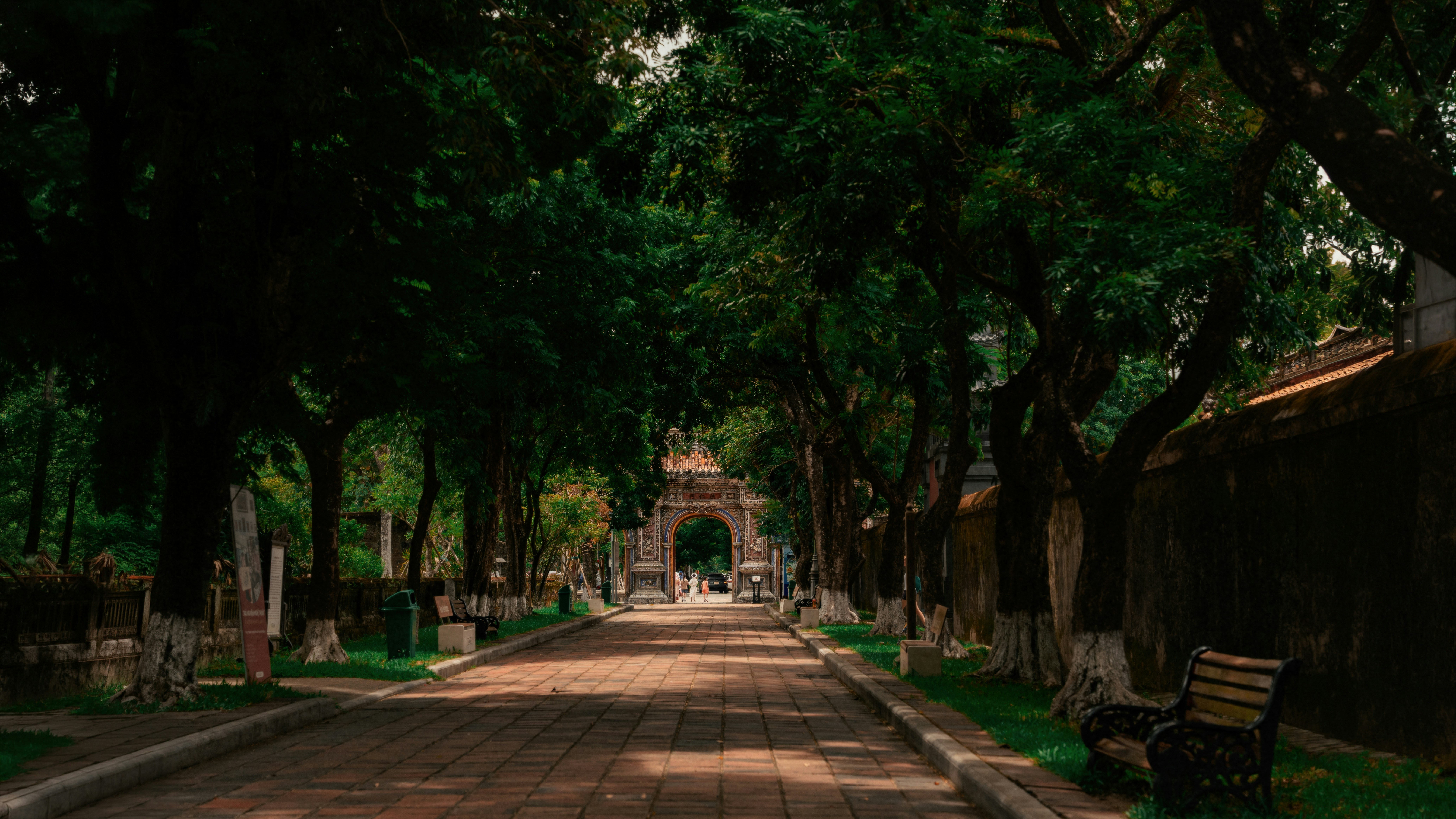 Tree-lined Avenue to the Archway