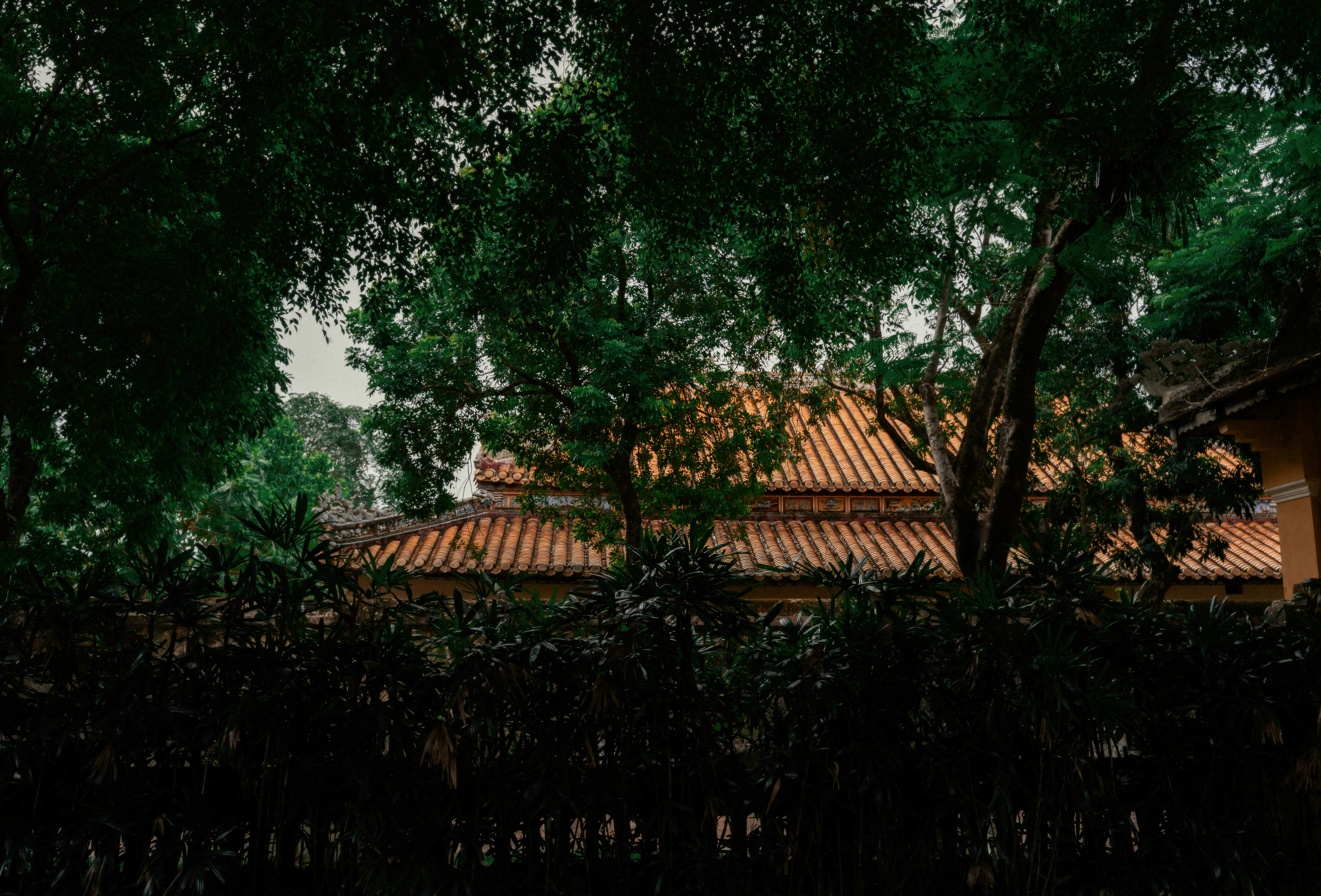 Hidden Roofline: Garden Veil Over a Red-Tiled Crest