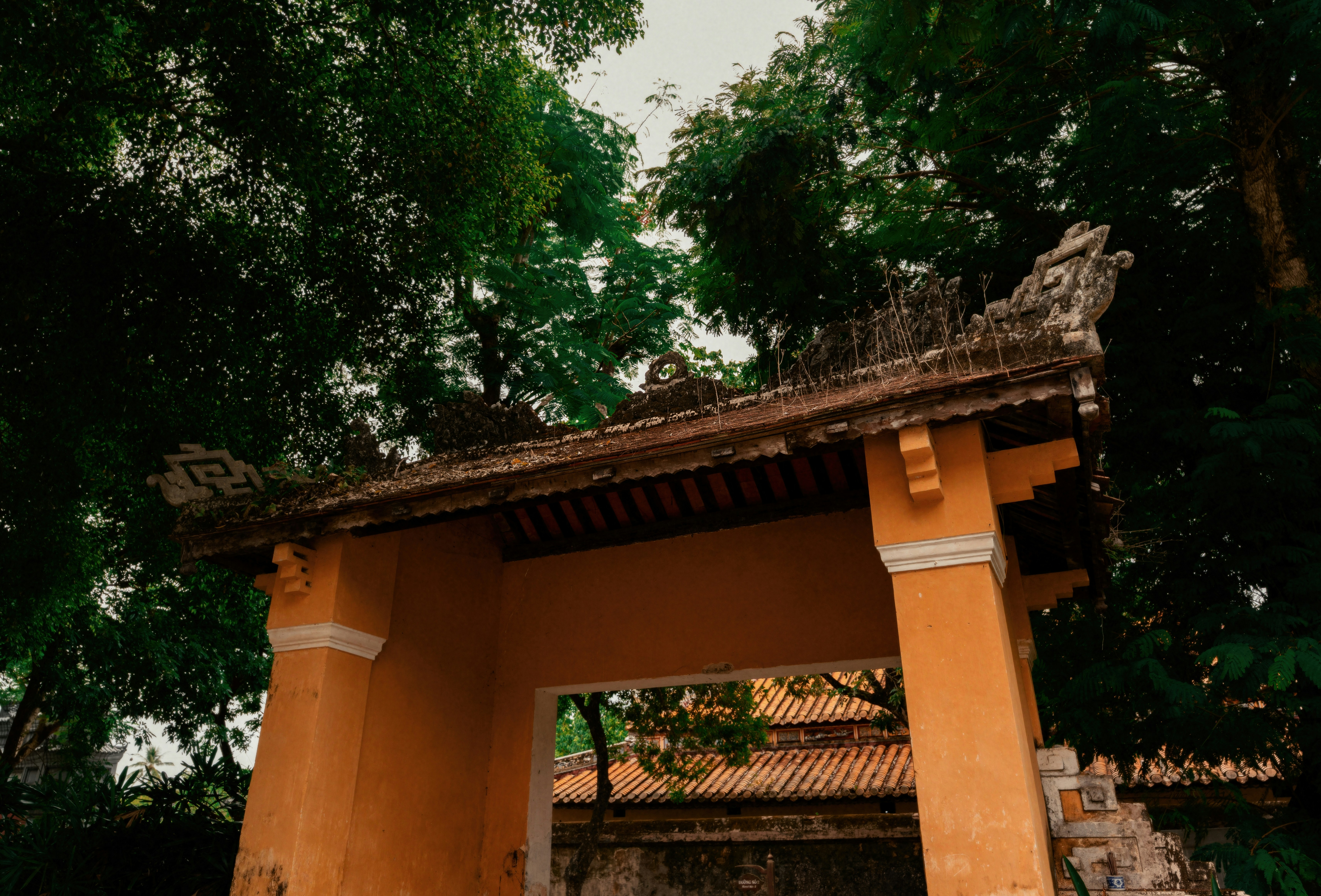 Amber Gate Under Verdant Canopy
