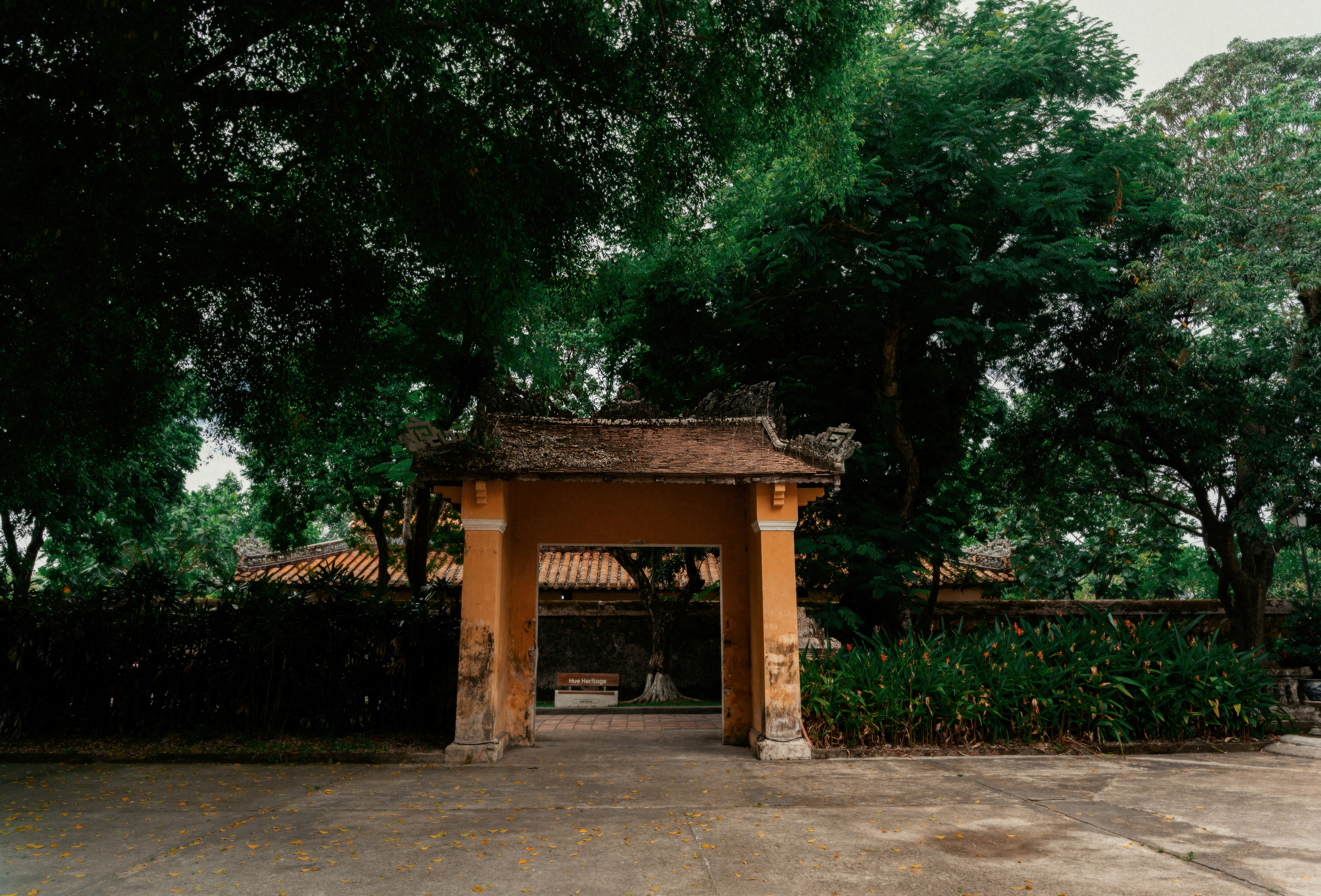 Gateway in Quiet Garden: A Weathered Entrance Framed by Dense Foliage