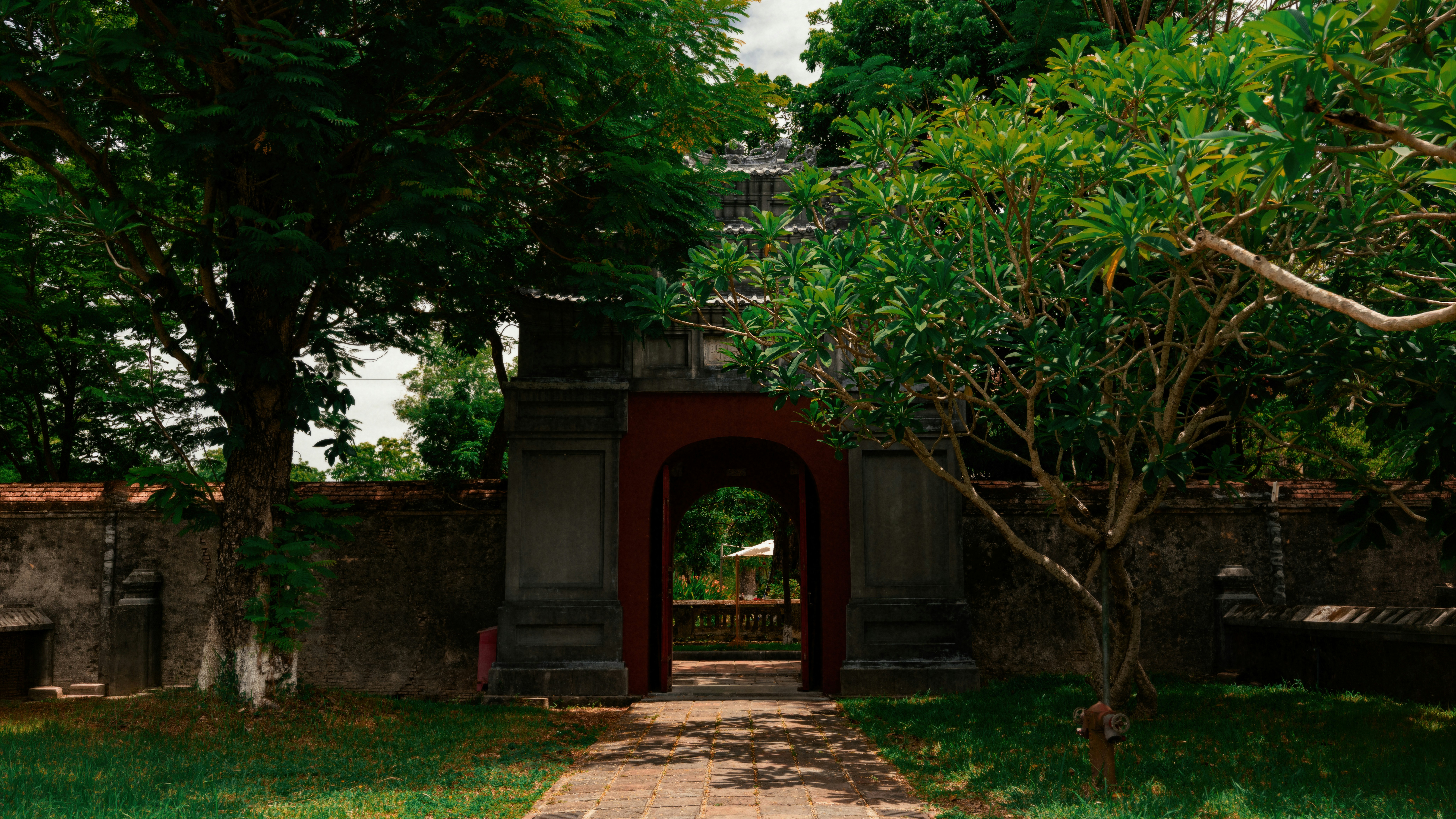 Gate to Tranquil Courtyard Unfolding Beyond an Estate Wall