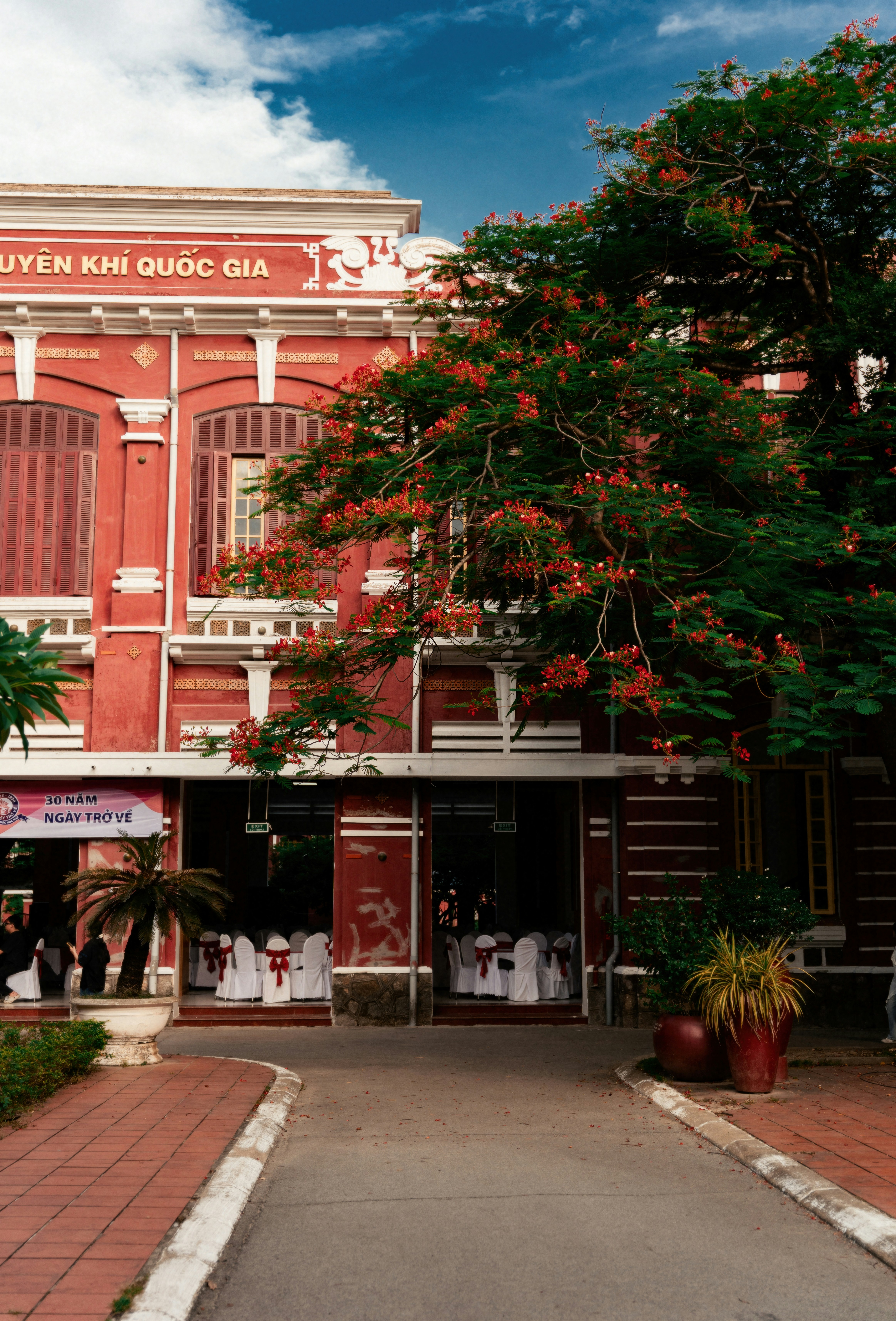 Red Facade, Green Canopy: A Street-Level Tale of a Building Garden