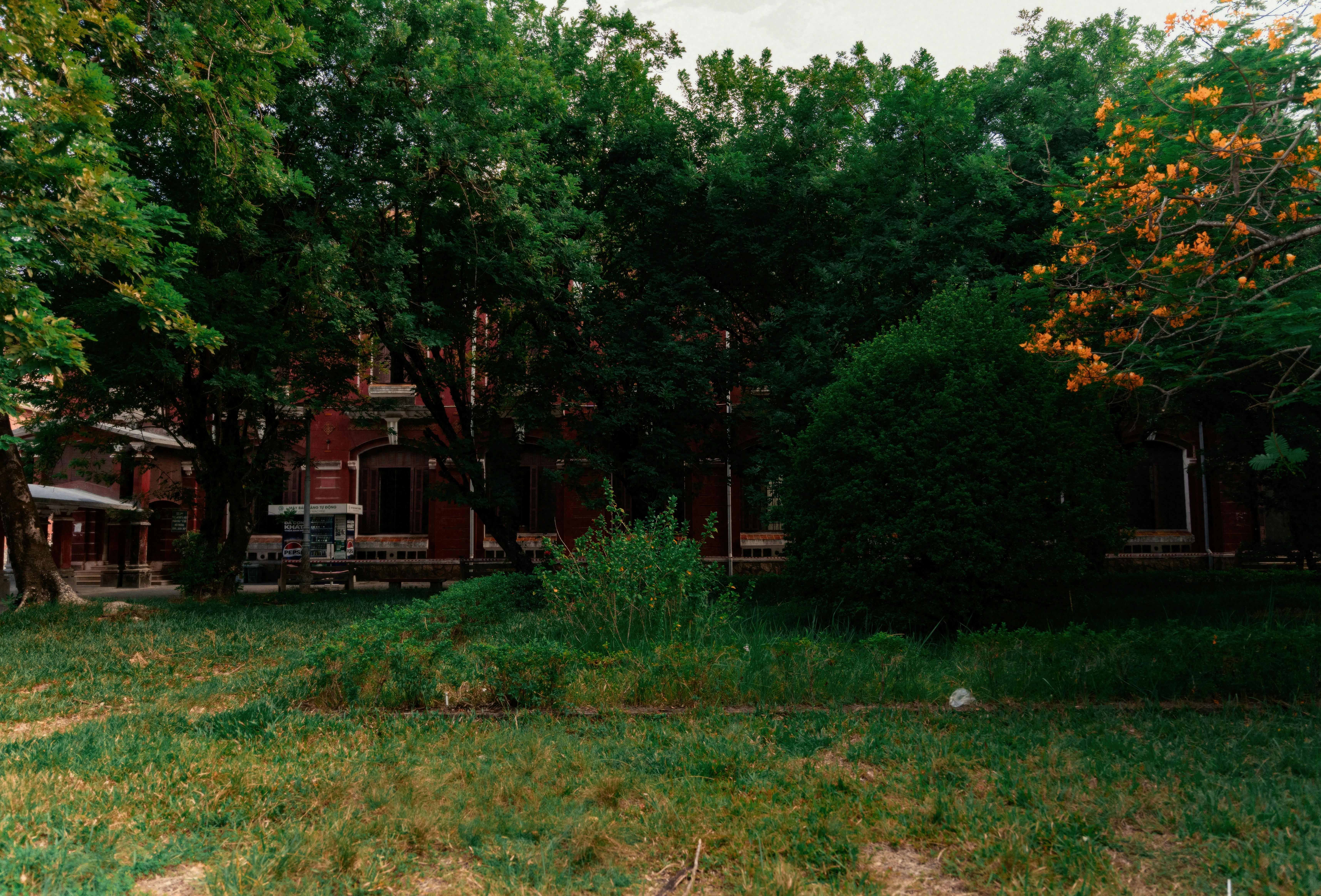 Shaded Lawn with Dormant Path and Red Brick Facade Framed by Trees