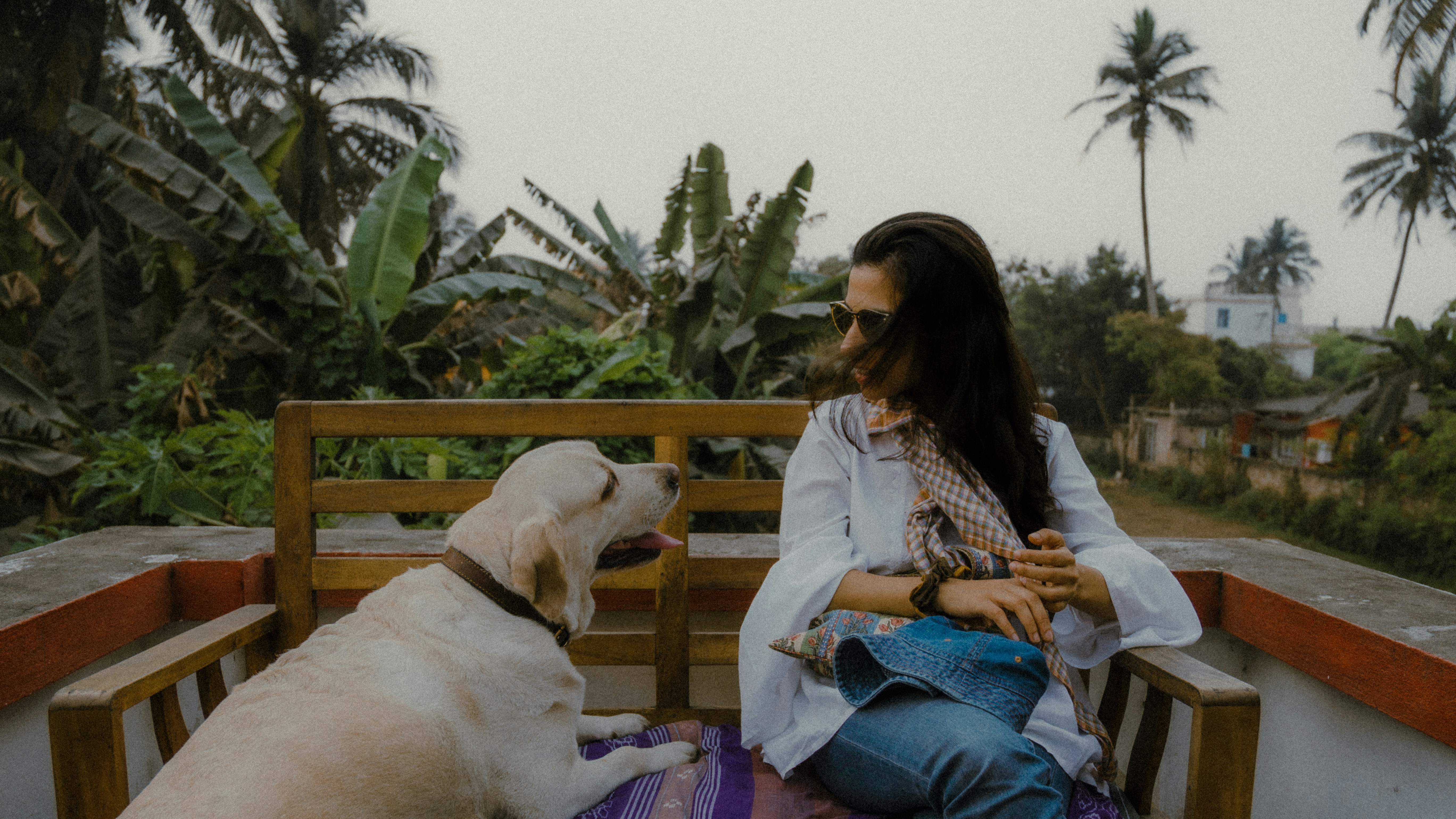 Conversing on a sunlit canal bench with a loyal companion