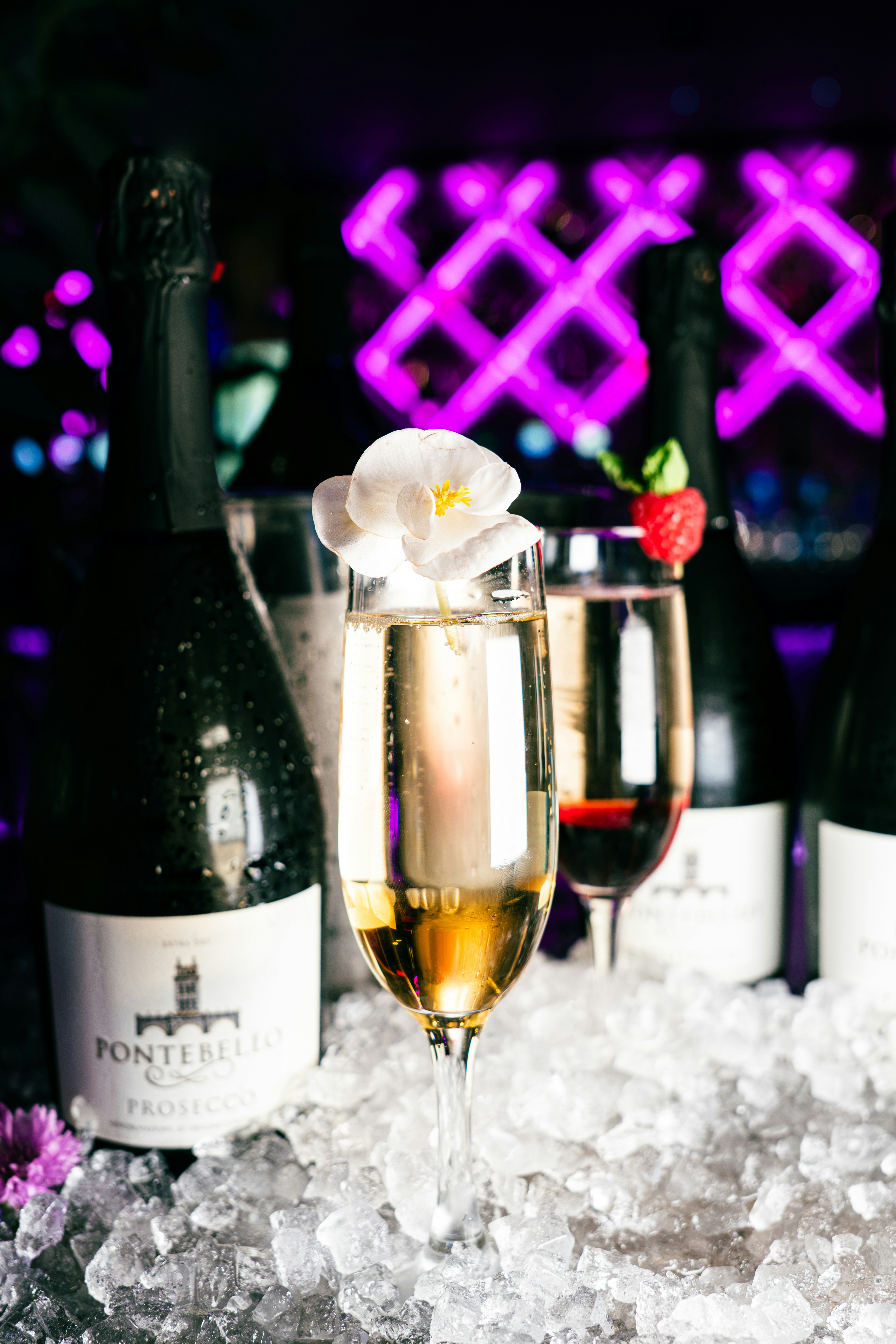 Glittering Glasses on Ice: A Night at the Champagne Bar
