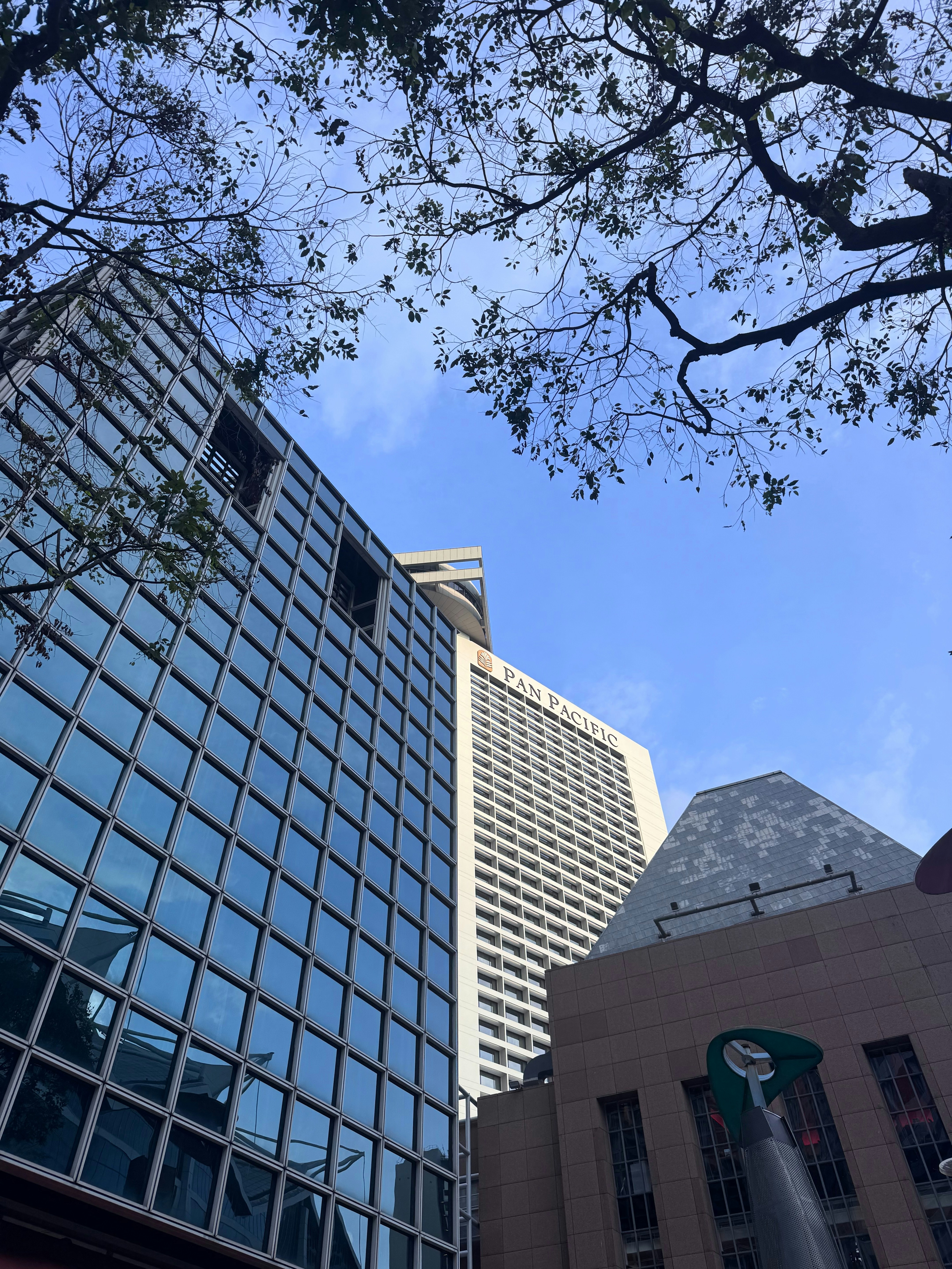 Tall glass-clad buildings reach toward a bright blue sky, with tree branches framing the top edge and a triangular-roofed structure at the right foreground.