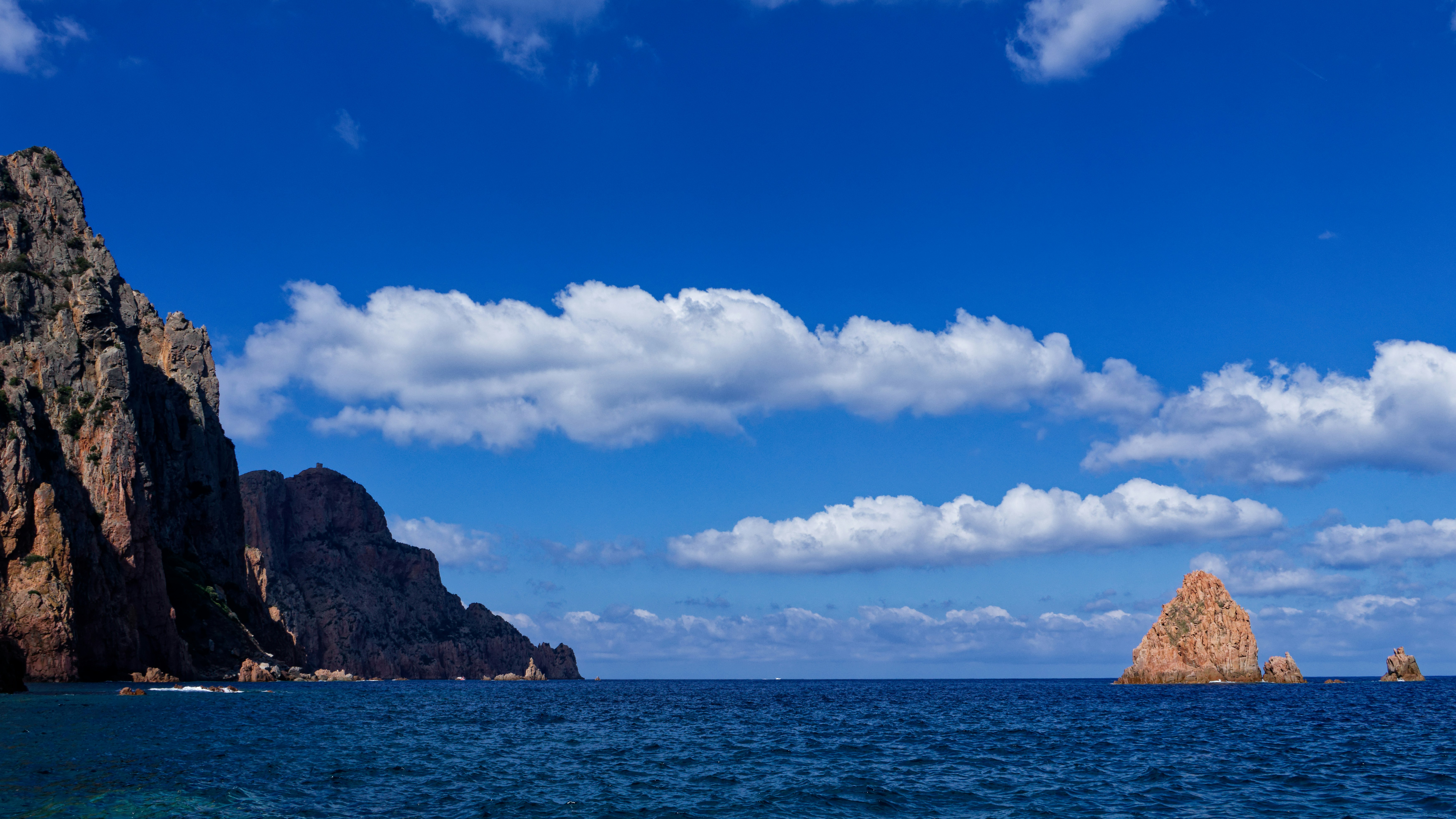 Coastal Cliffline meeting a solitary seabird’s horizon