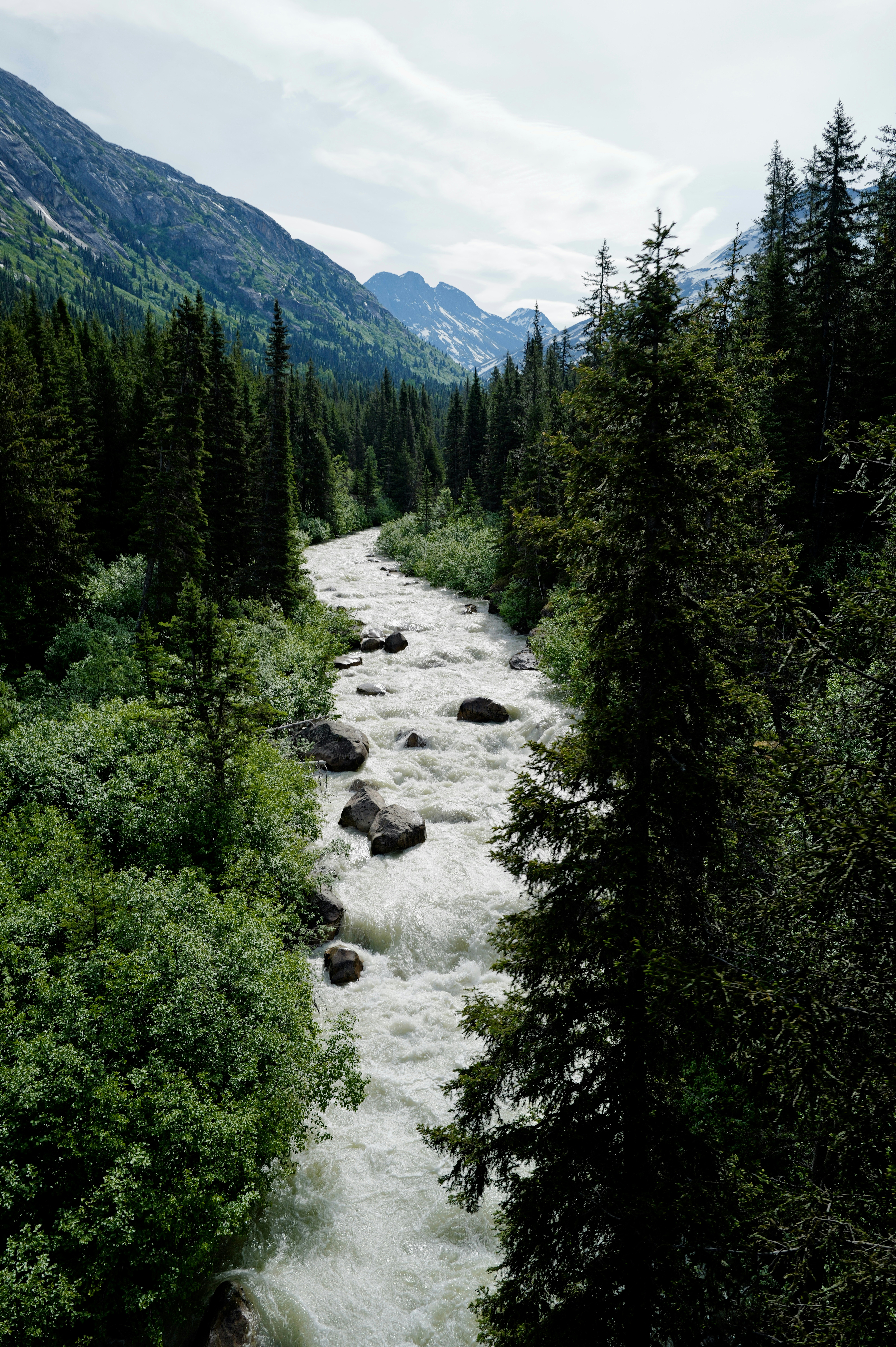 Rushing Through the Pines: River Valley Slipstream