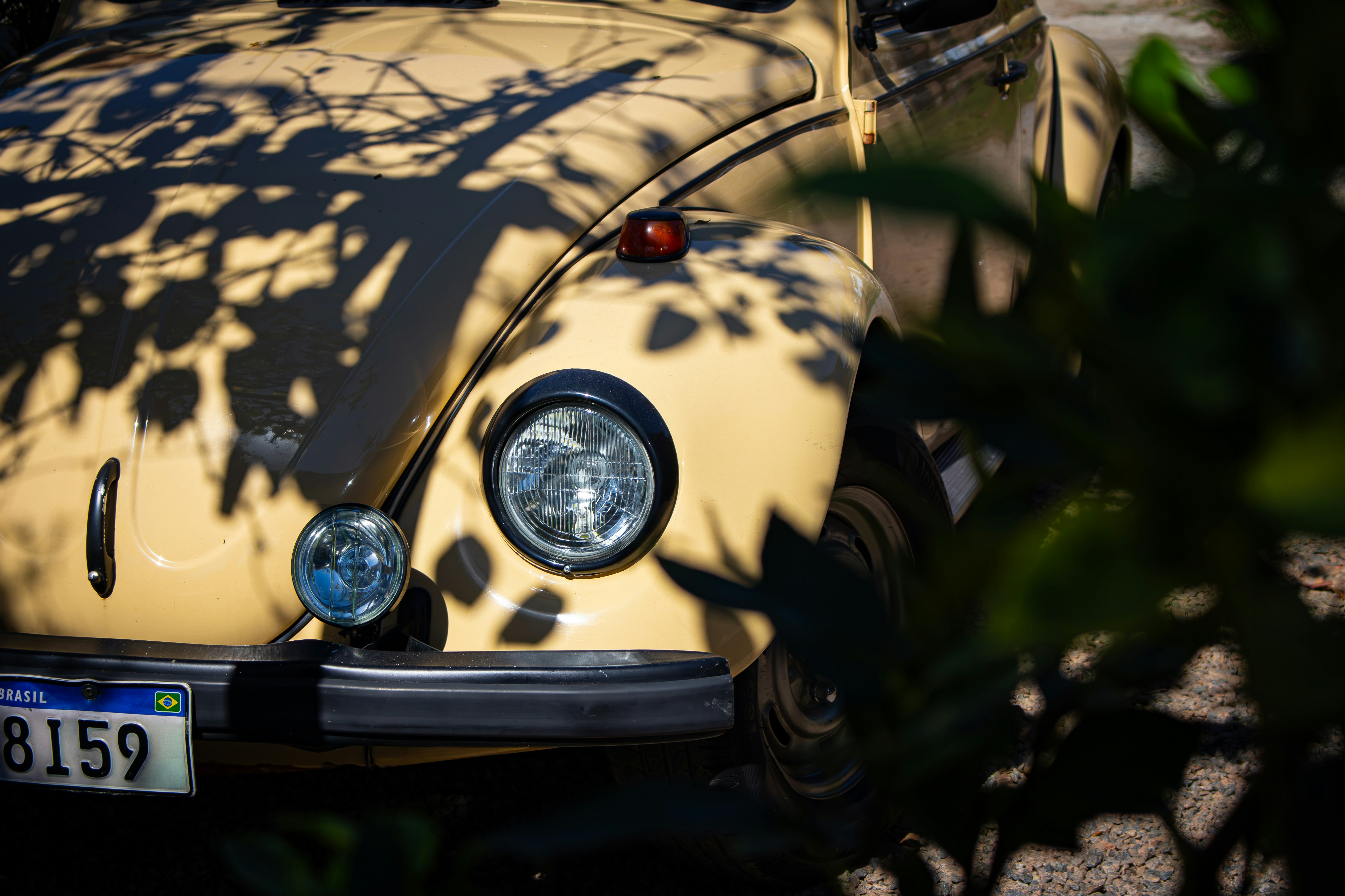 Sunlit Beetle: a Shaded Portrait of a Classic VW