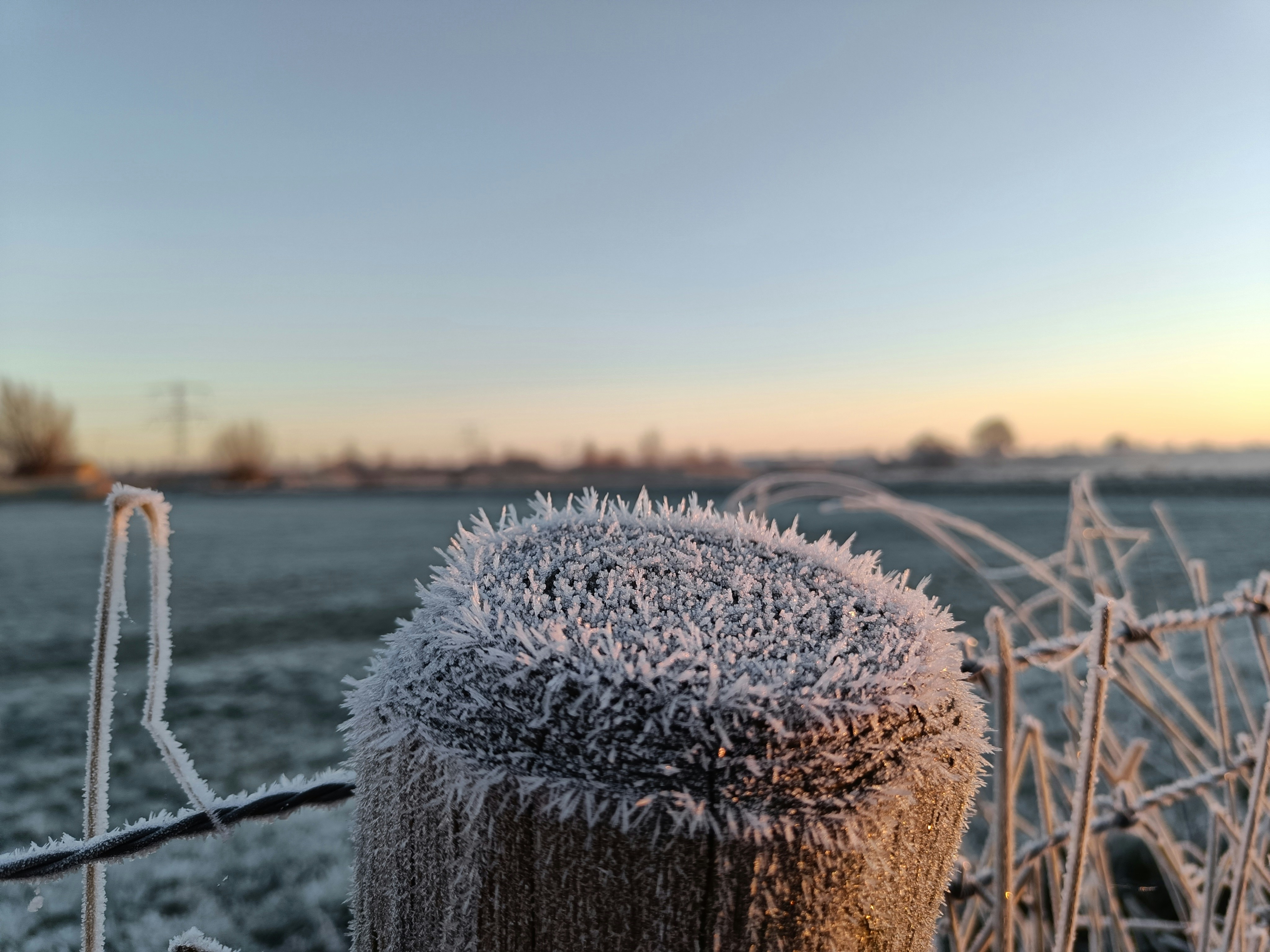 Frosted Crown: First Light on a Cold Horizon