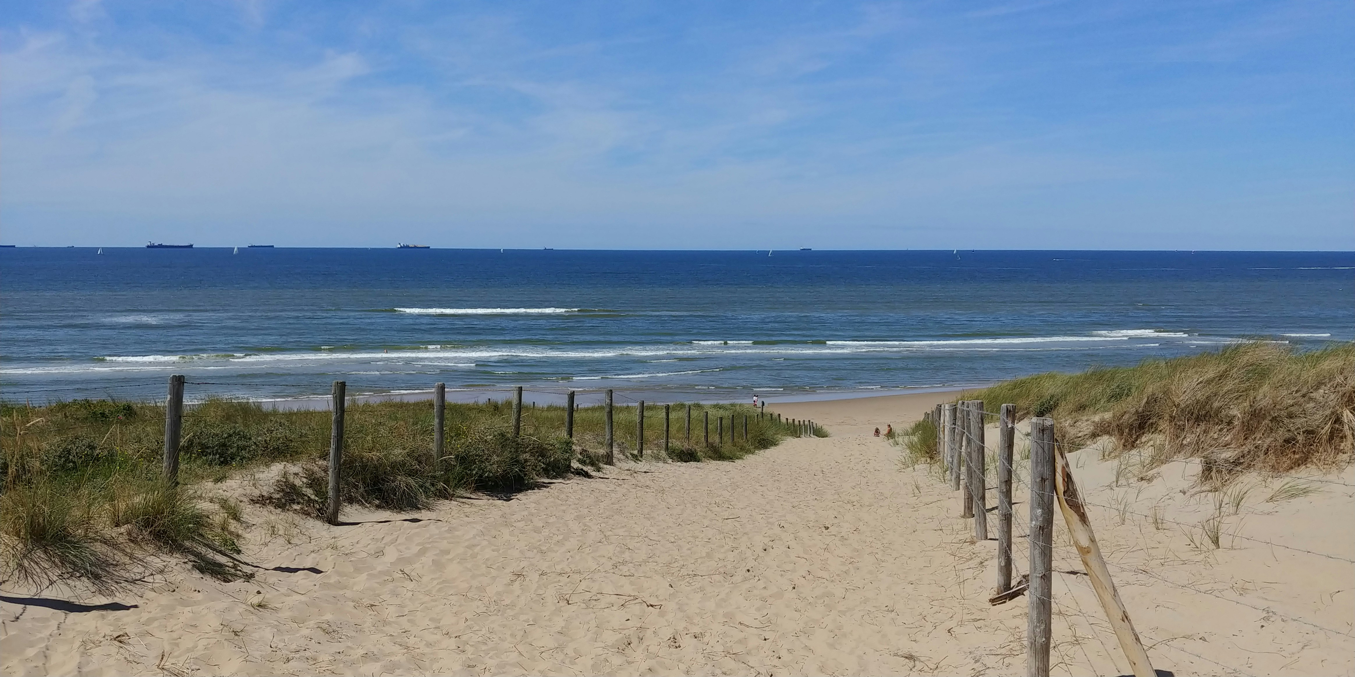Coastal Path Toward the Quiet Horizon