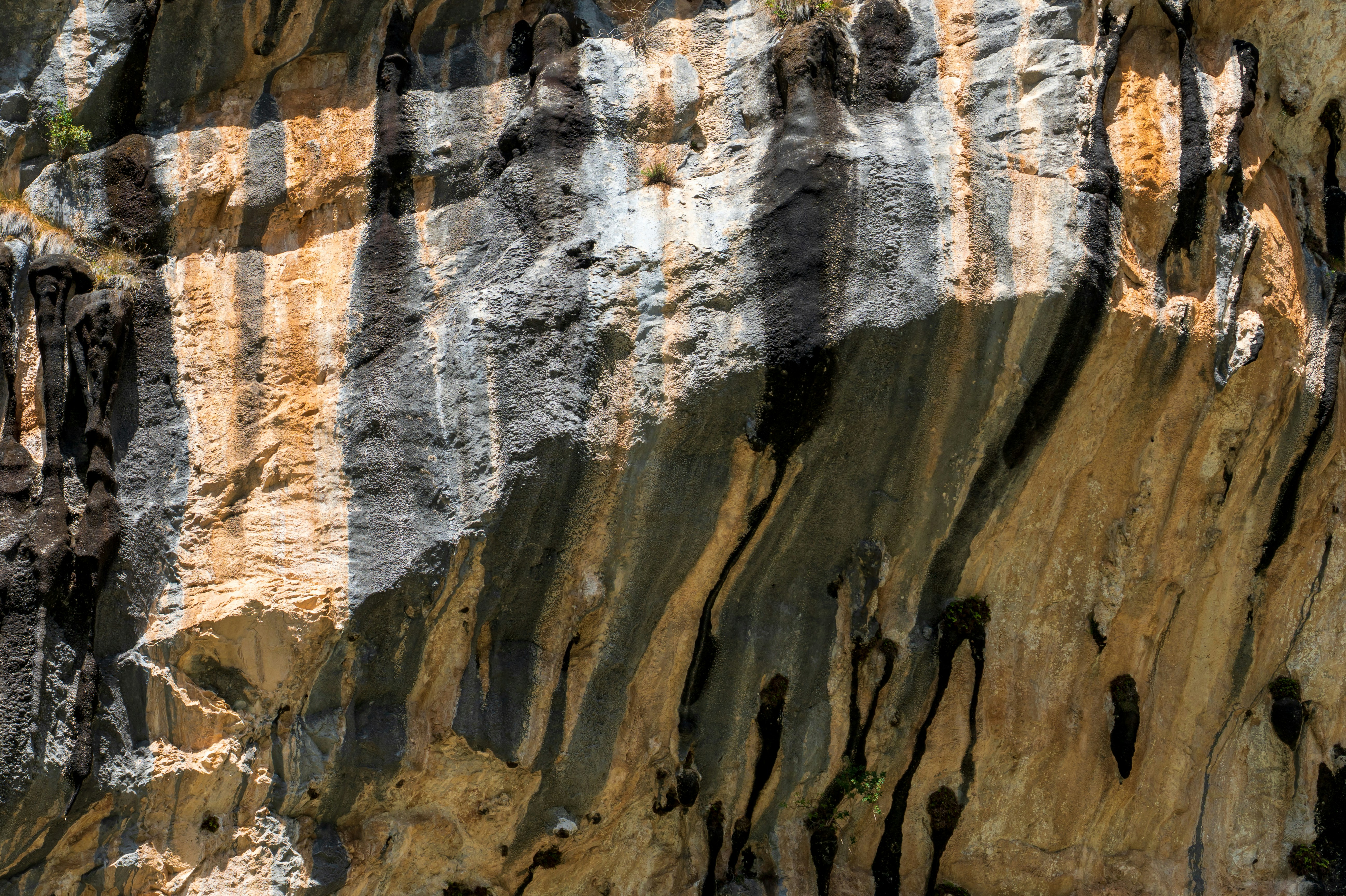 Stone Anatomy: Striated Cliffs Catch the Light
