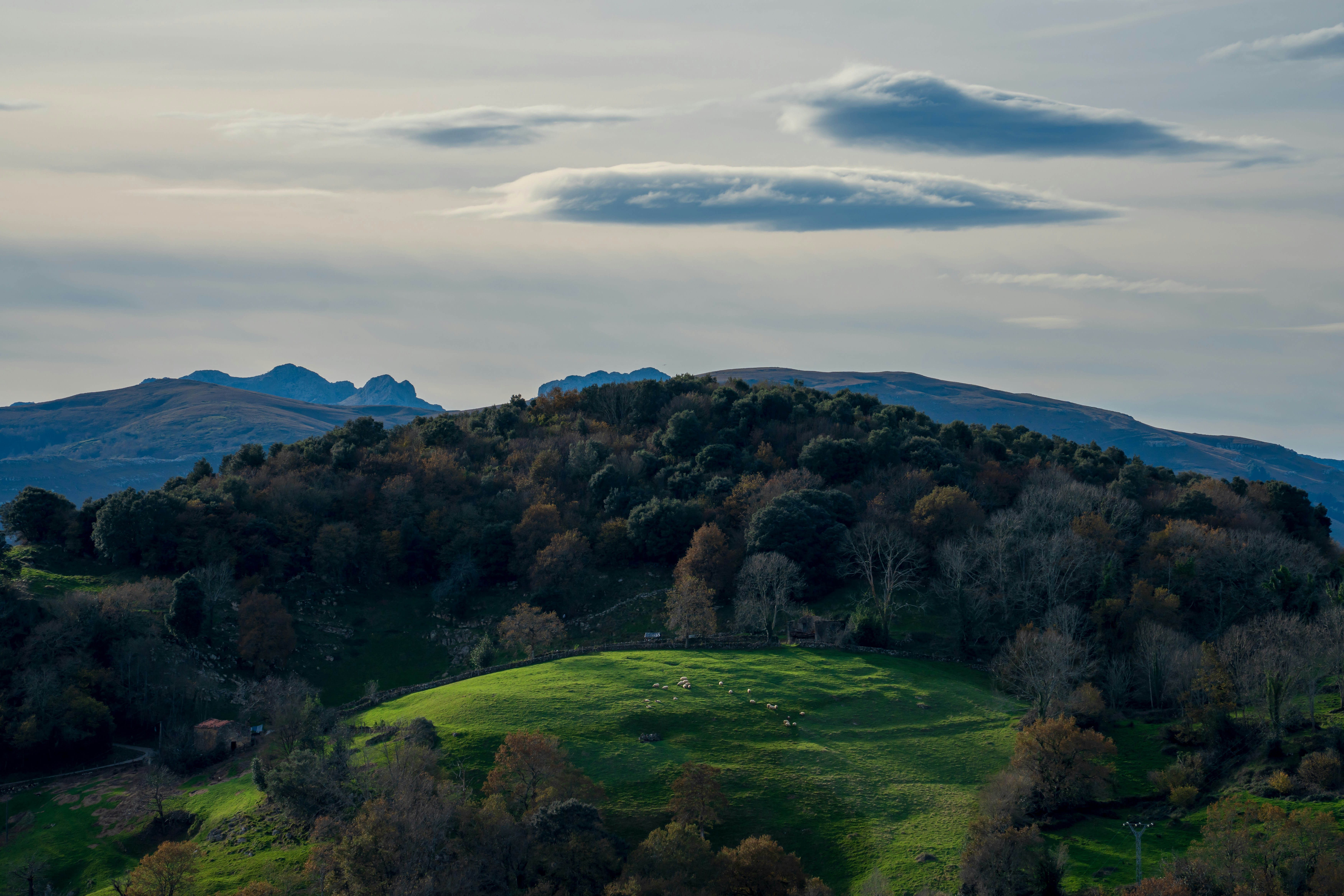 Sunlit Pasture Crest among Rolling Hills
