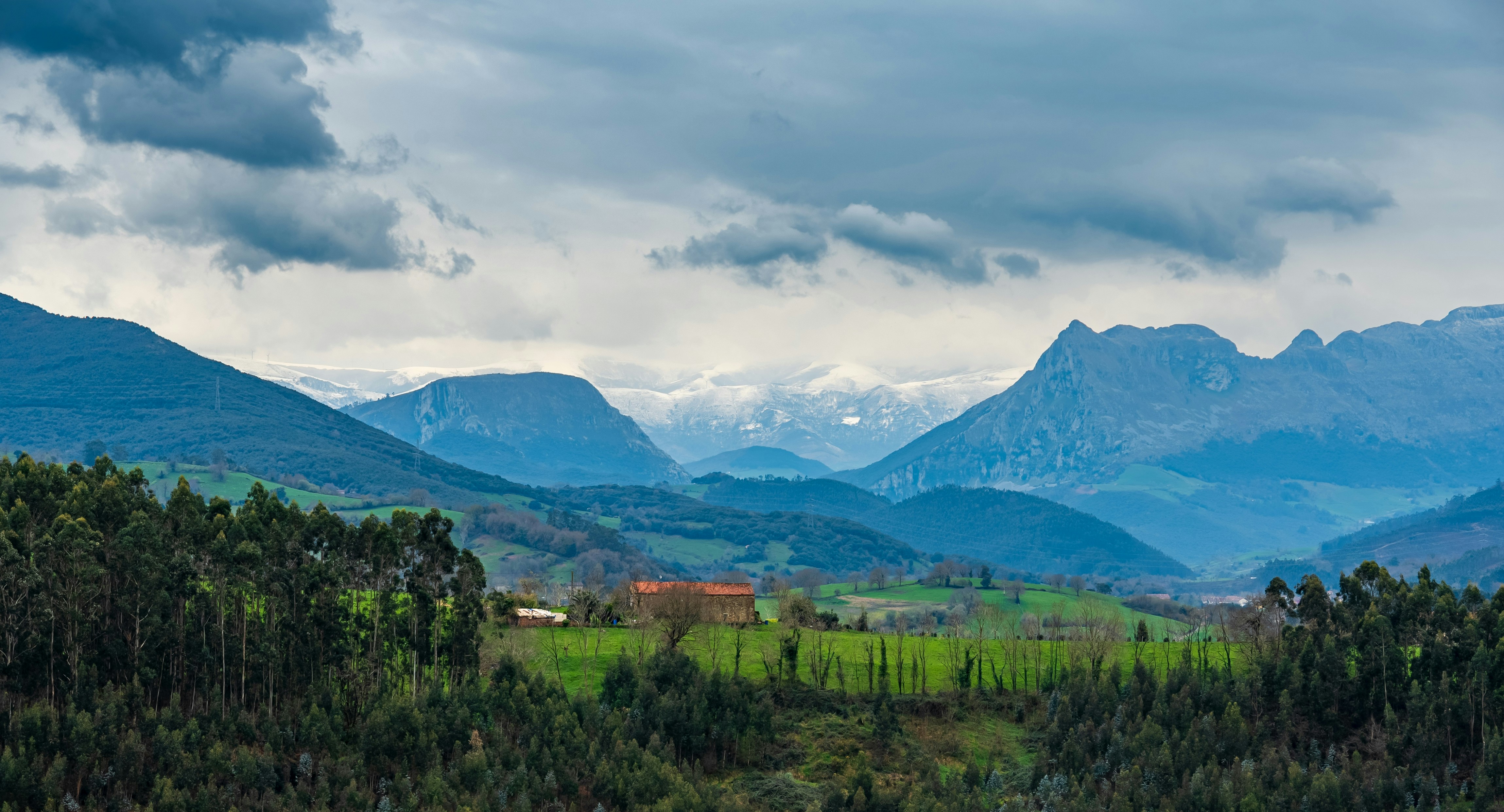 Between Valley Greens and Blue Peaks