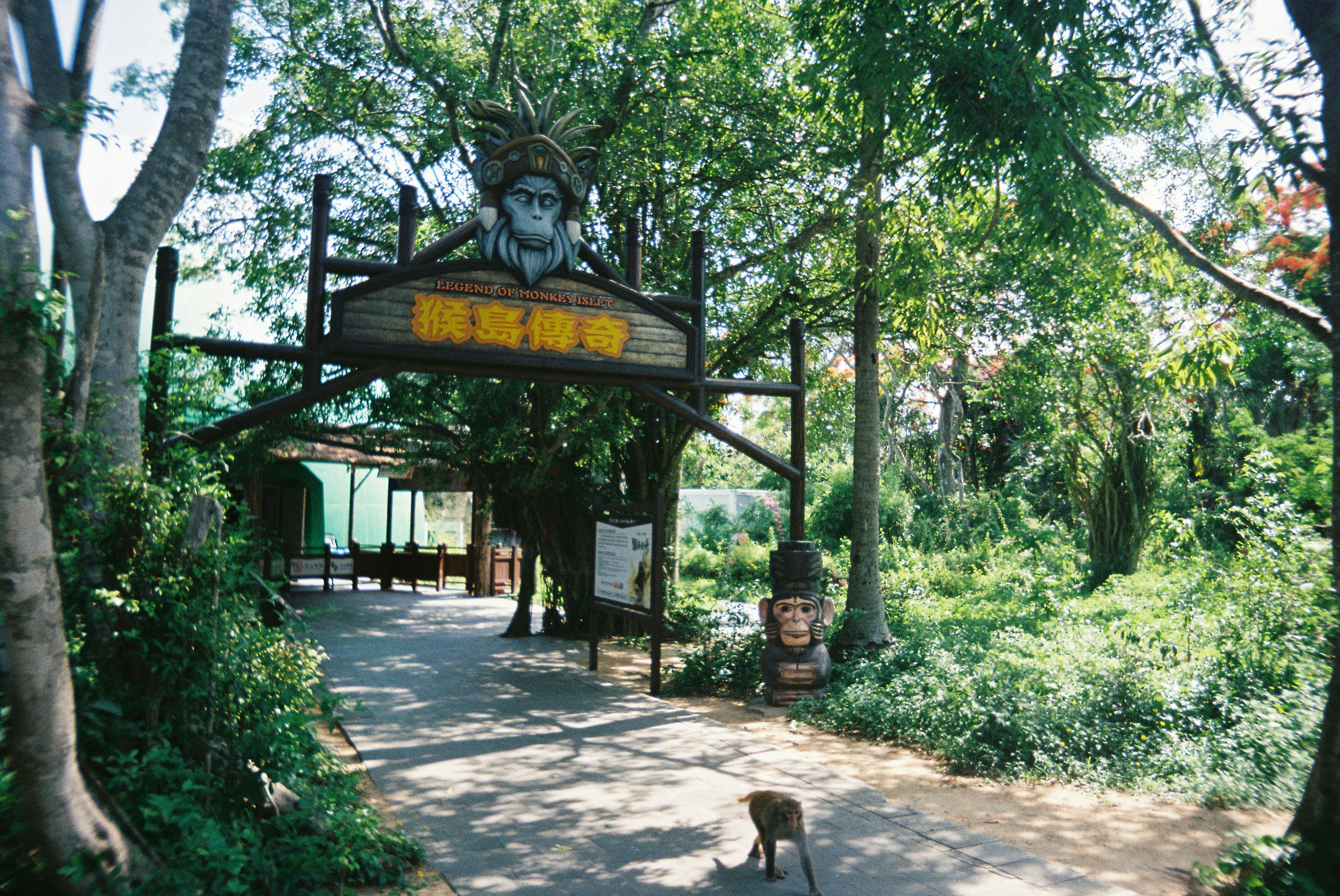 The entrance to a Monkey Island, framed by lush palm trees and dense jungle foliage. A small monkey walks directly toward the camera, creating an intimate and playful wildlife encounter. The tropical setting and curious animal make for an adventurous and memorable travel moment.