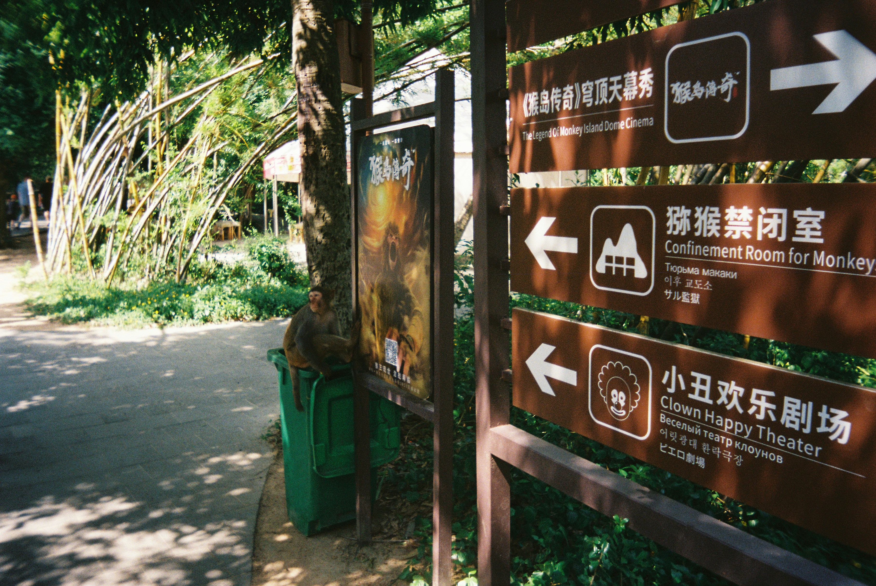 A curious macaque monkey sits perched on top of a trash can next to a park direction sign at the entrance to Monkey Island (Nanwan Monkey Island) on Hainan Island, China. The playful yet mischievous scene captures a classic tourist-wildlife encounter in a tropical park setting, surrounded by lush jungle greenery.