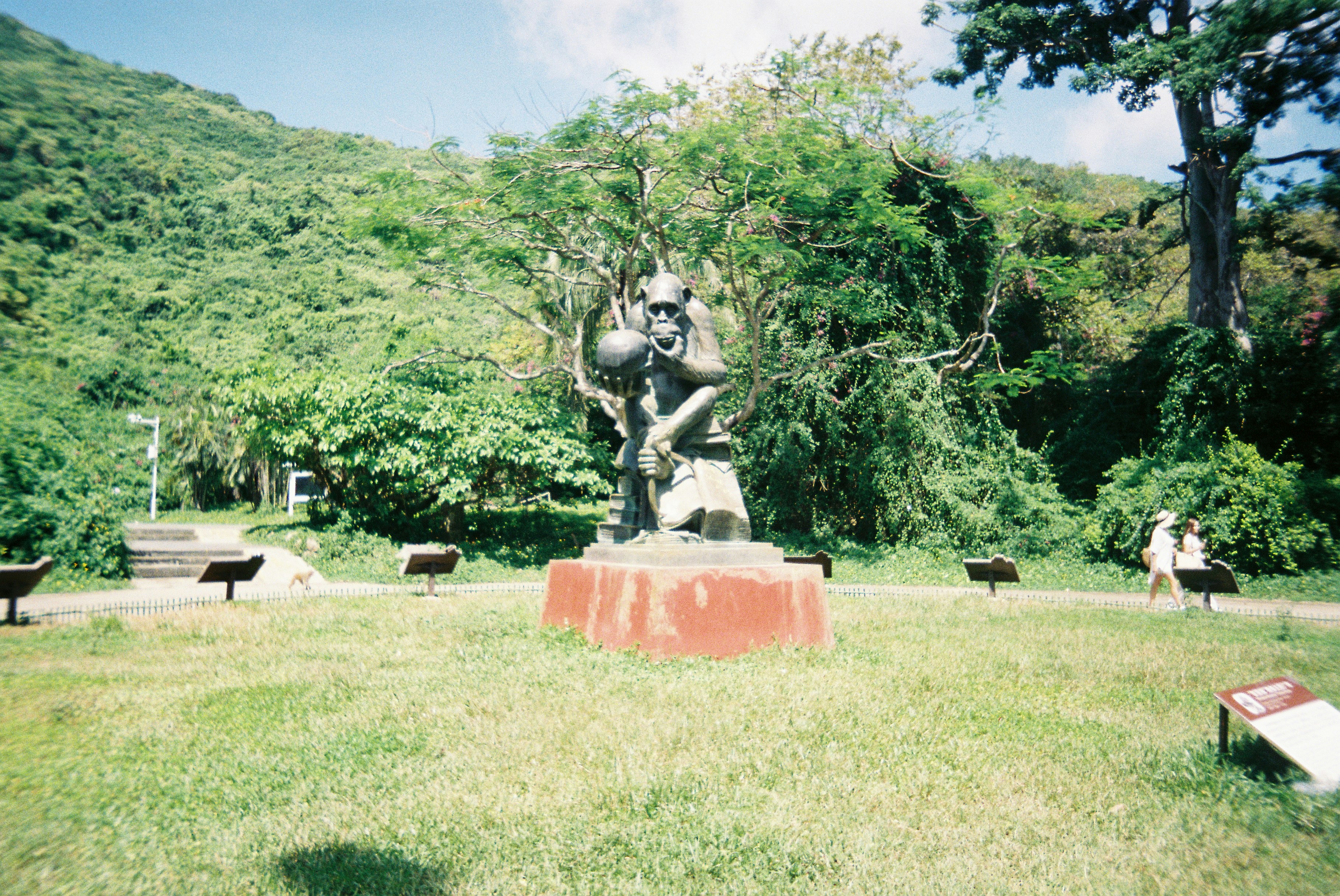A monument to a wise monkey, located in Monkey Island Park (Nanwan Monkey Island) on Hainan Island, China. The stone statue symbolizes intelligence, cunning, and the deep respect for primates found in local culture. Standing in a serene tropical park setting, it serves as a cultural and philosophical landmark for visitors.