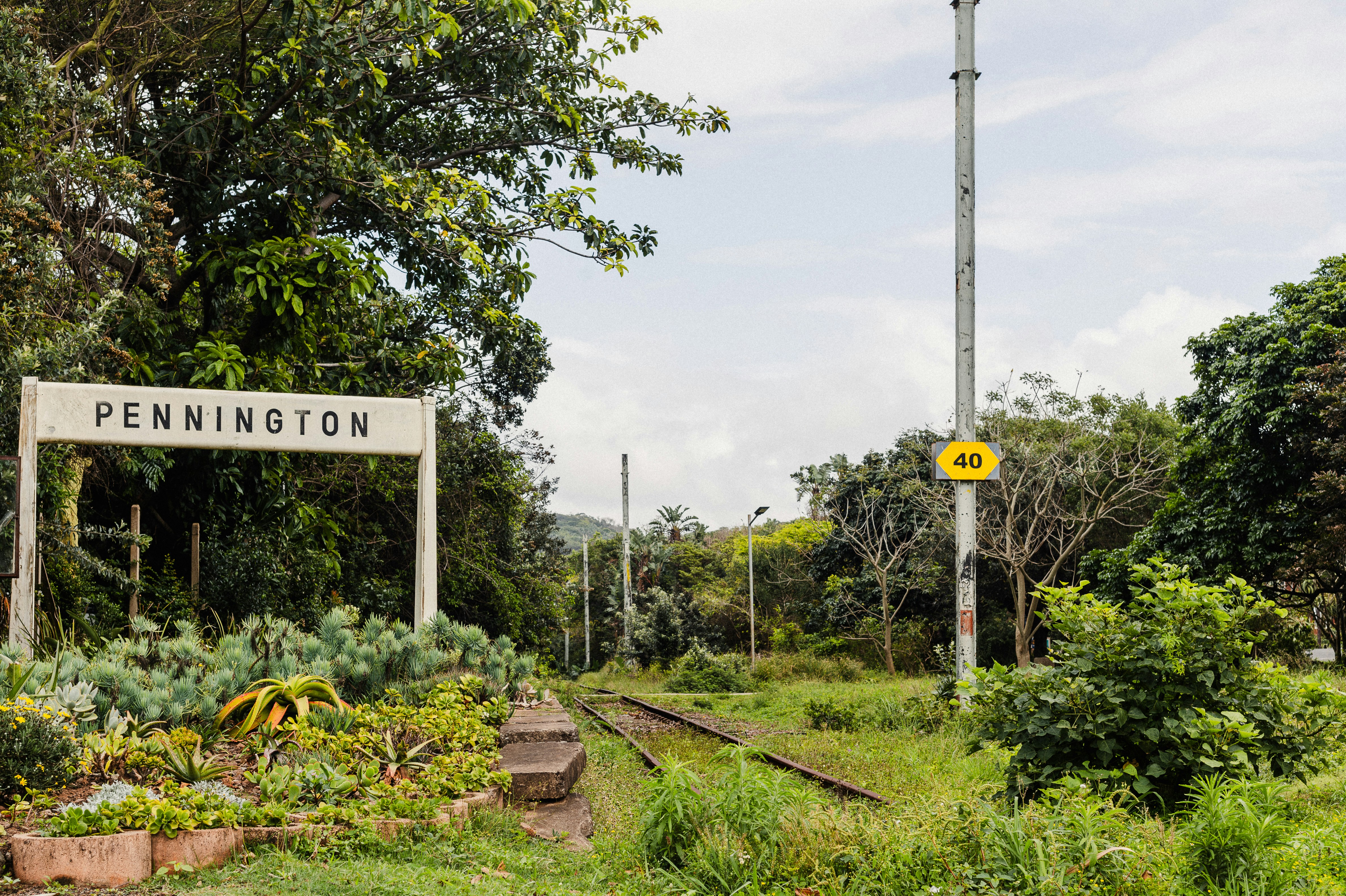 Disused Rail Stop at Pennington, Overgrown Tracks Meet a Quiet Suburb