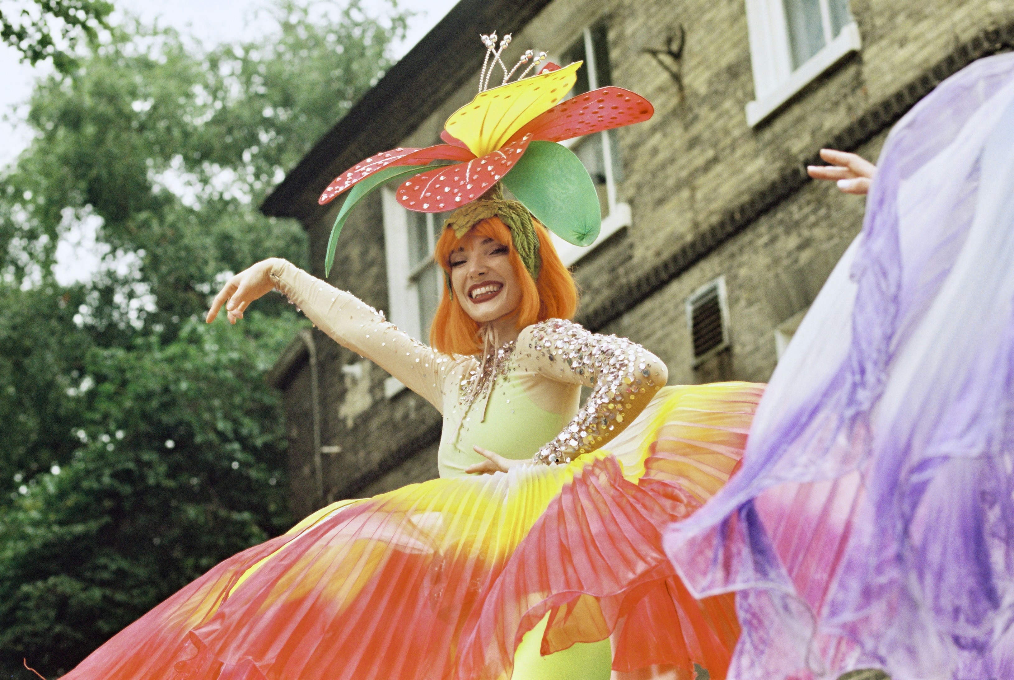 Colorful Plumage on a Sunlit Parade